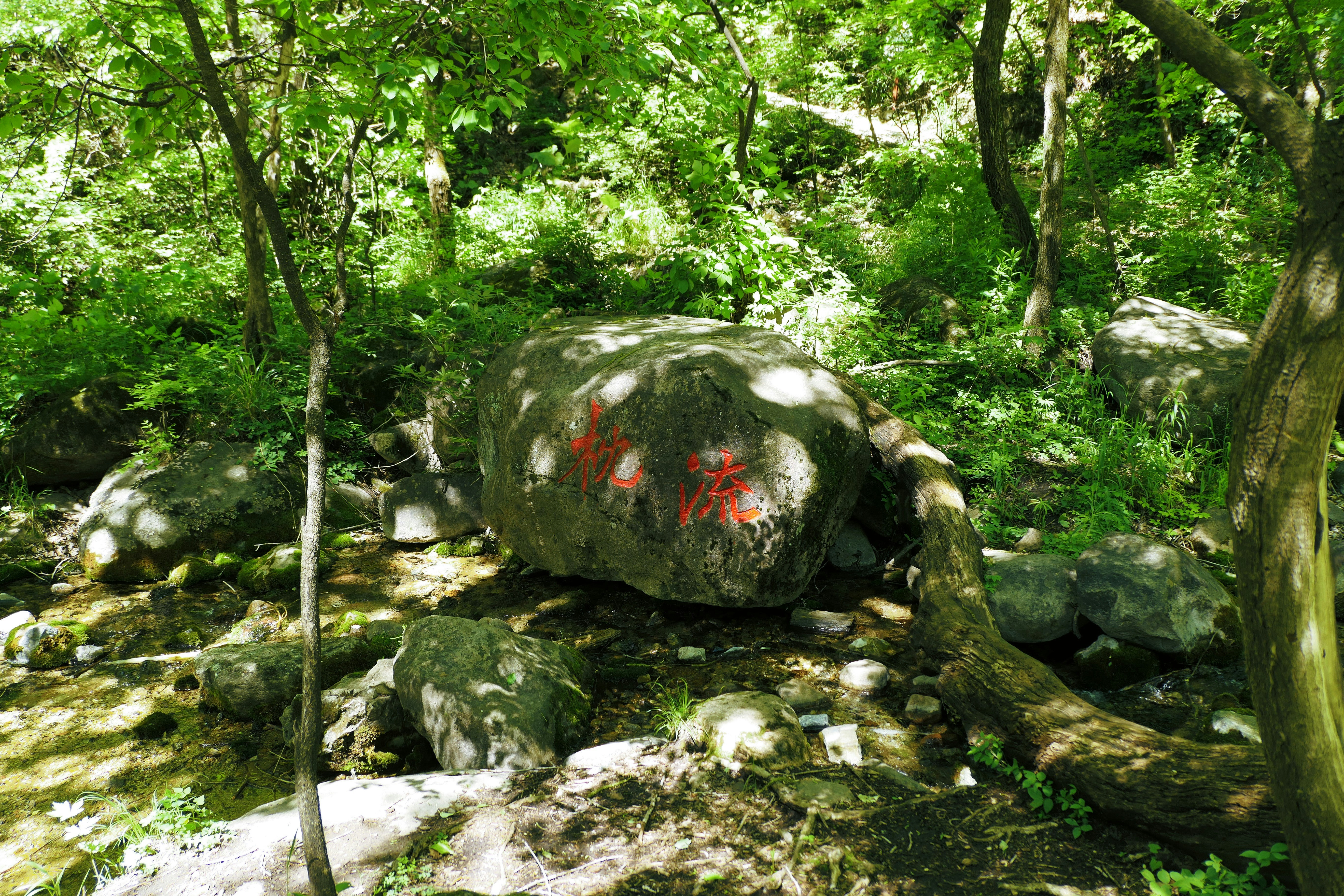 Processed with VSCO with l1 preset | A large rock sits among lush greenery.