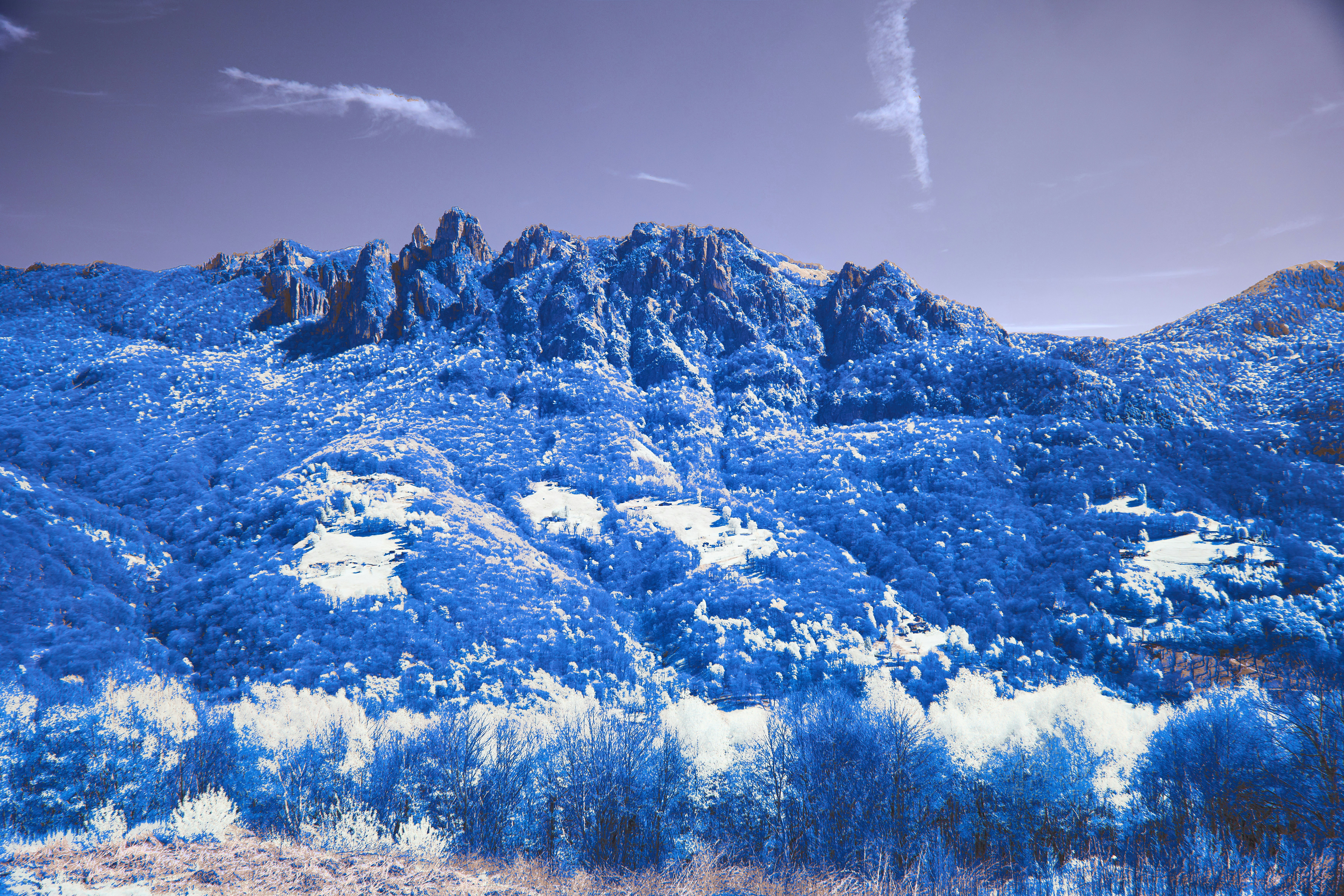 A surreal landscape showcasing a mountain range enveloped in an ethereal blue hue, contrasting with a vibrant foreground of illuminated foliage.