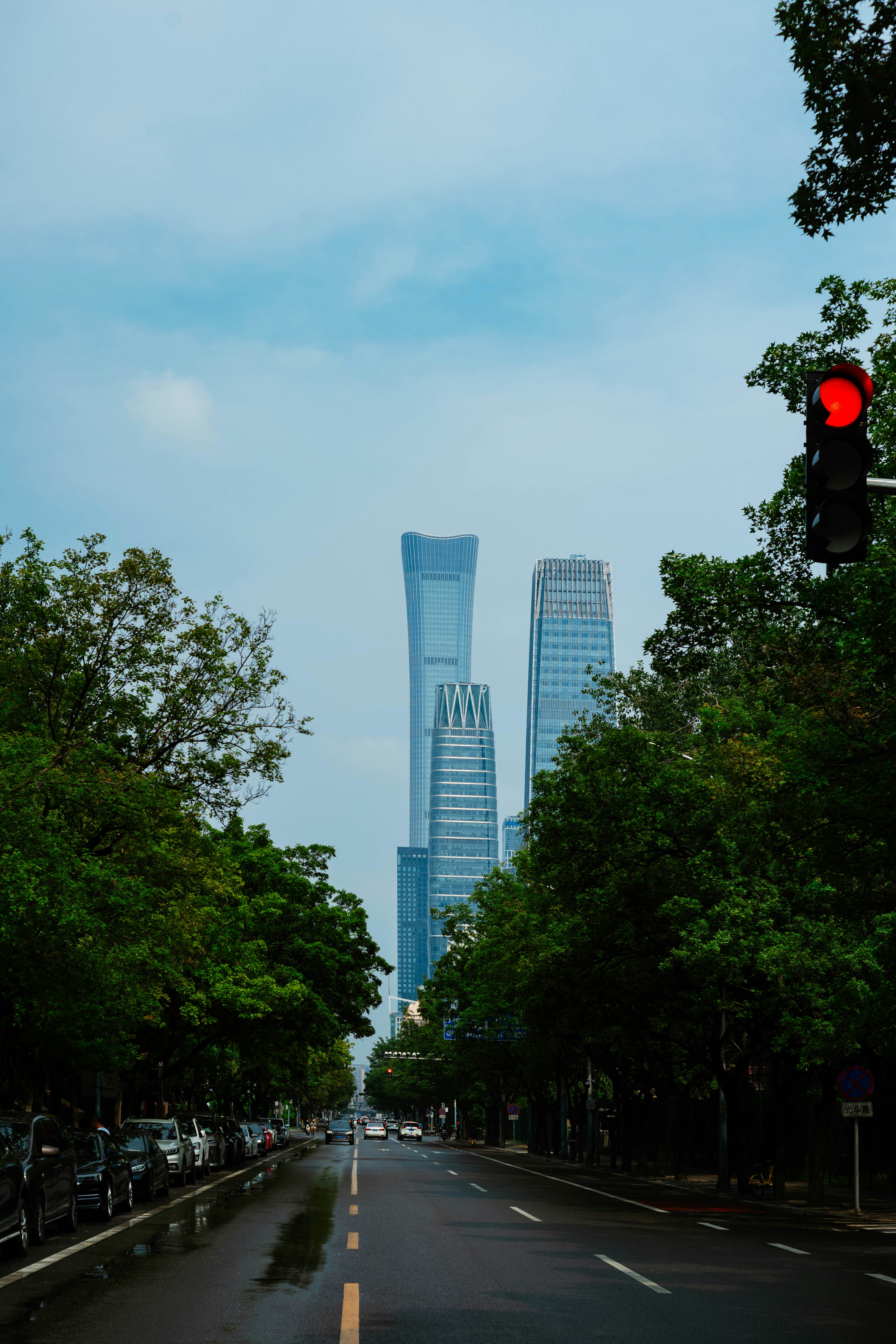 Urban Giants: A Symphony of Glass and Green