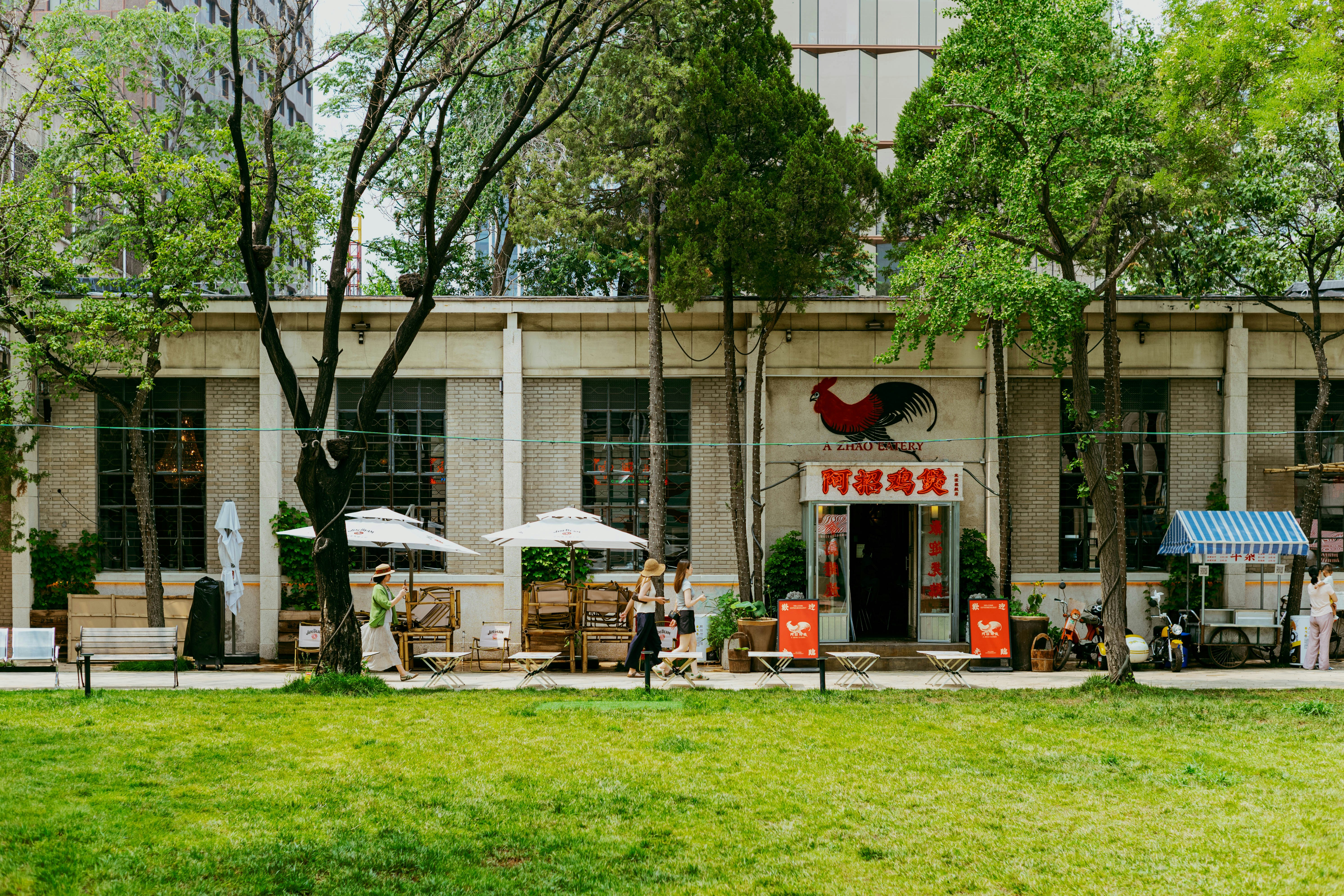 Urban Oasis: A Serene Retreat Amidst the City
