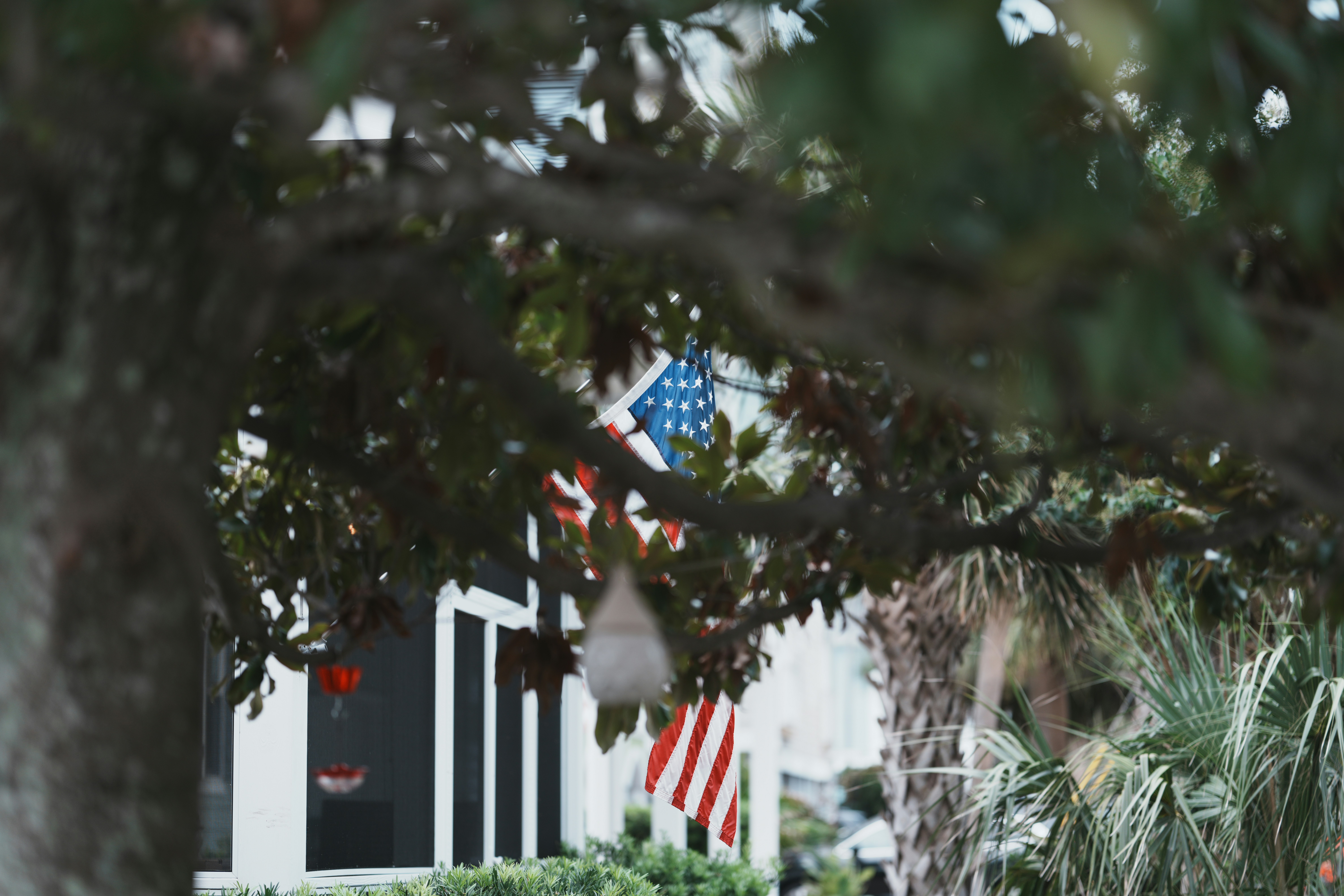 Whispers of Patriotism Amidst Nature's Embrace