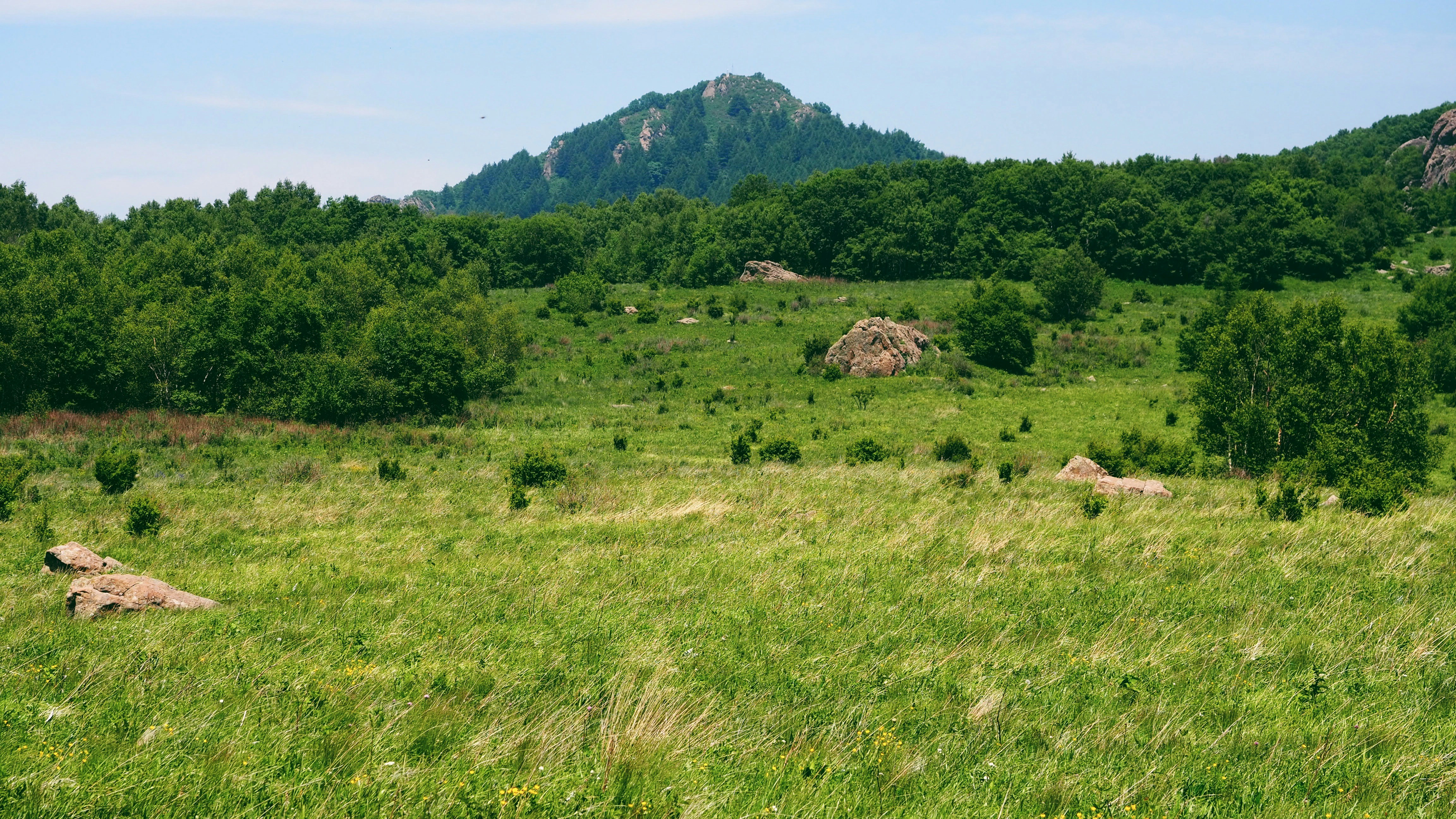 OLYMPUS DIGITAL CAMERA Processed with VSCO with 6 preset | A scenic meadow with a mountain in the background.