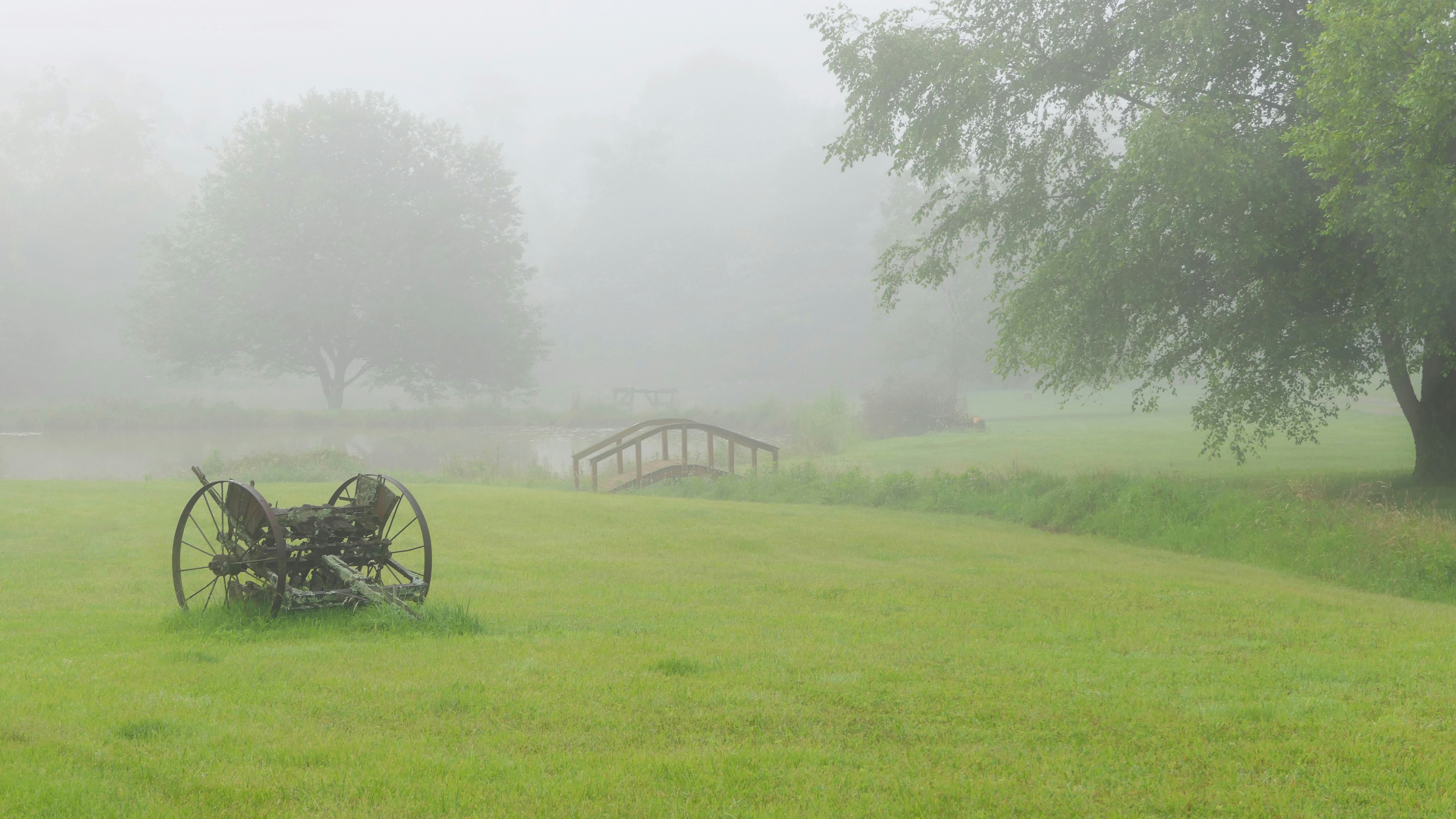 foggy morning field | Foggy landscape with an old cart in the foreground.