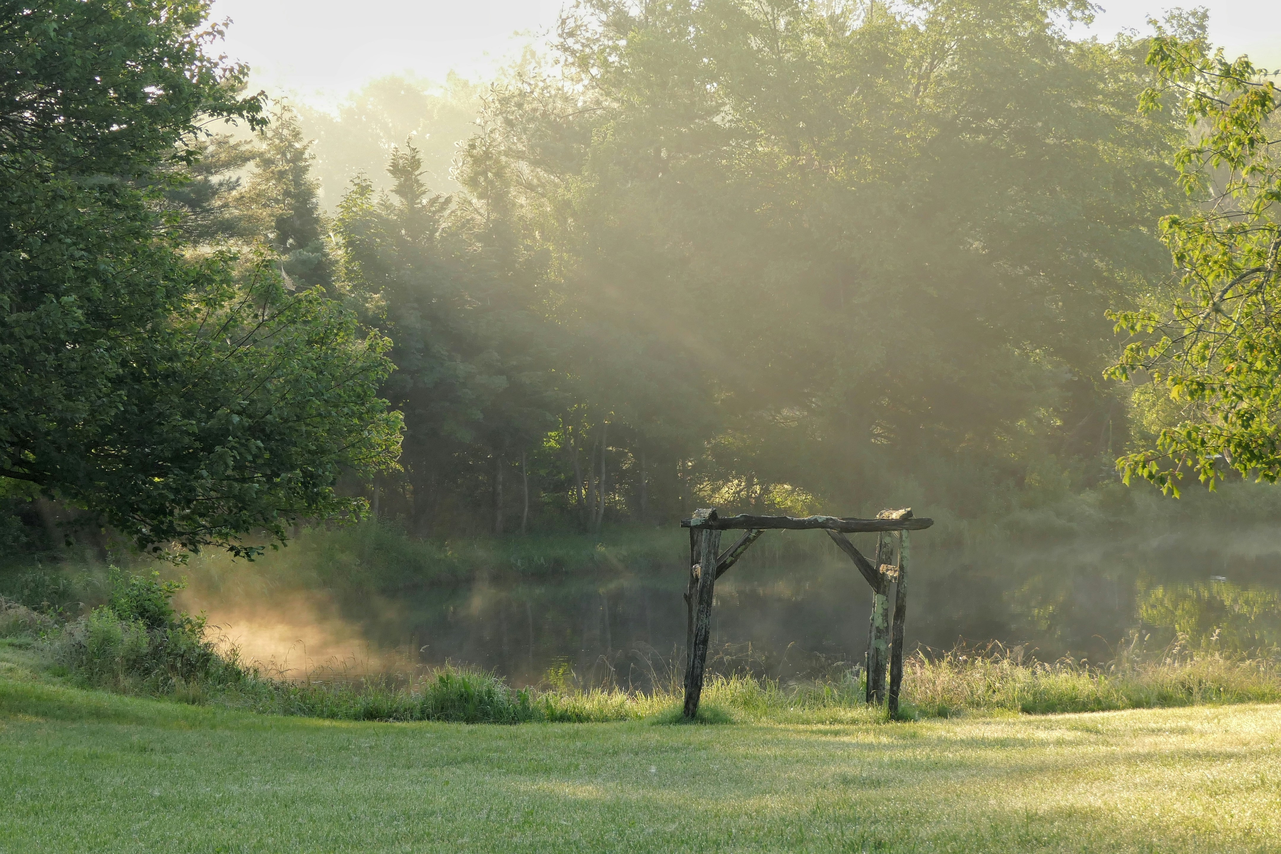 morning mist over mountain pond | Sunlight streams through trees, illuminating an archway.