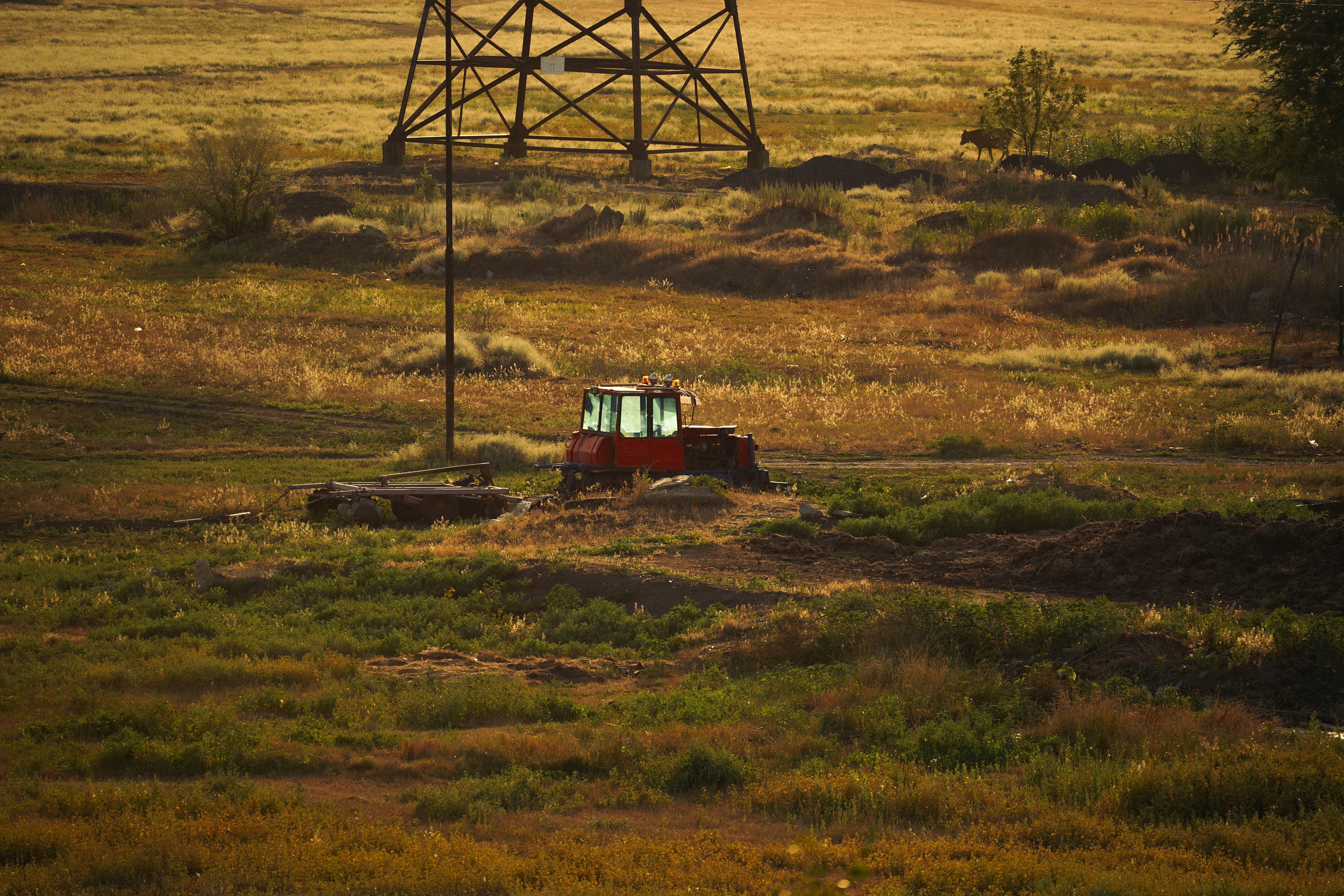 Rustic Resilience: A Tractor's Solitude in Golden Fields