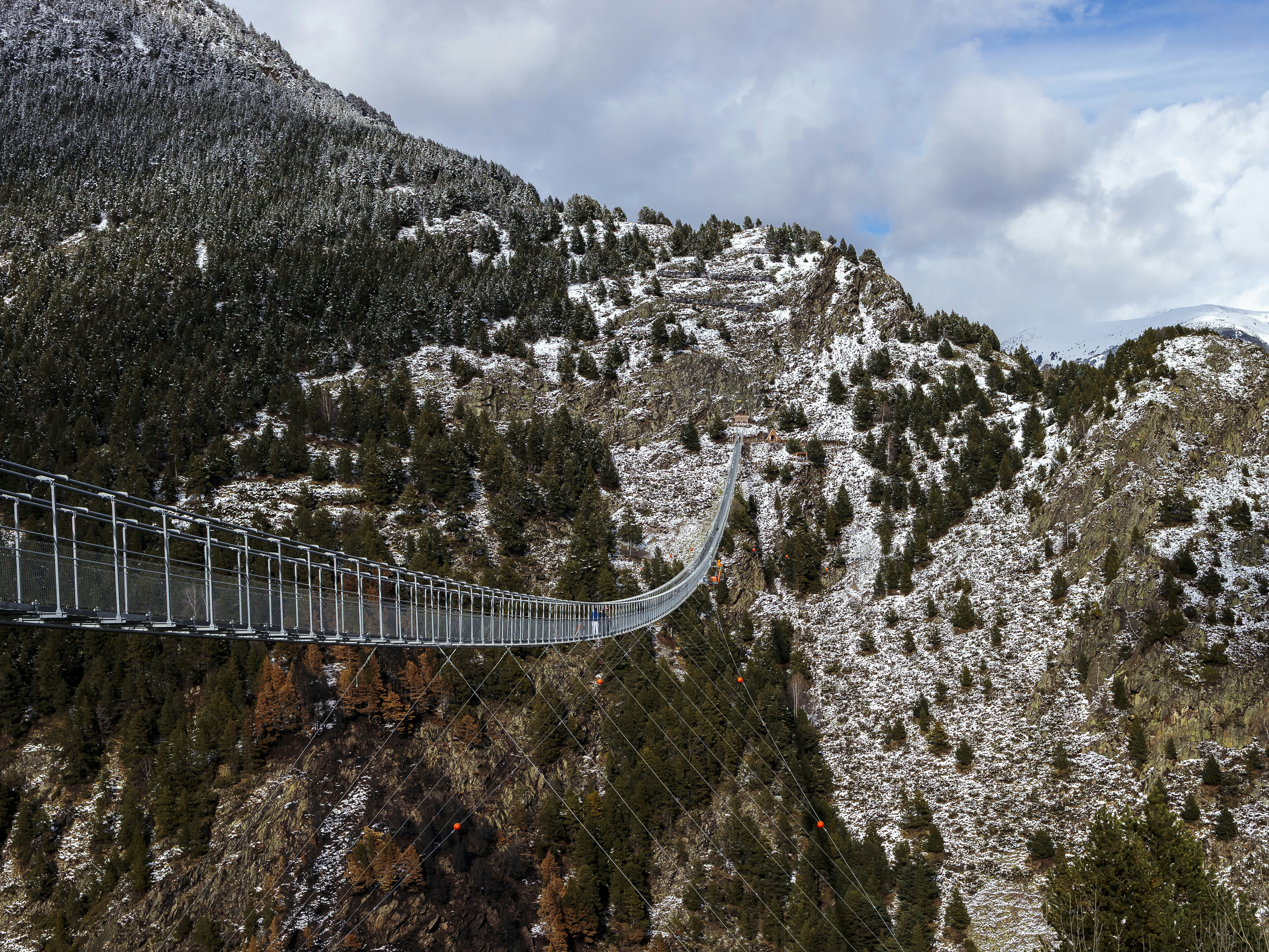 Suspended Serenity: Bridging Nature's Divide