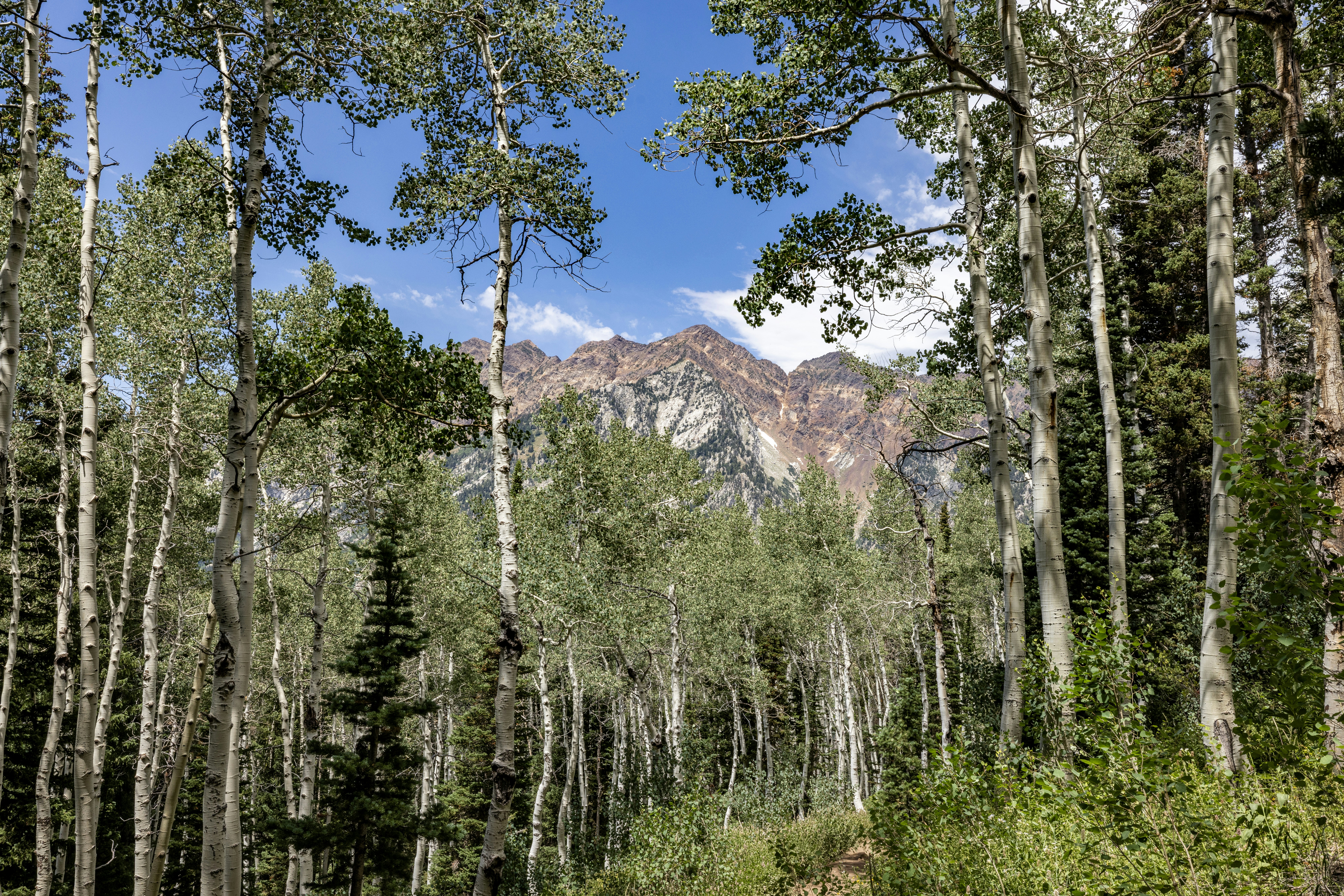 You can hike with your head down, or keep your head up to continue to see great things...even if tired. | Trees frame a mountain view with a blue sky.