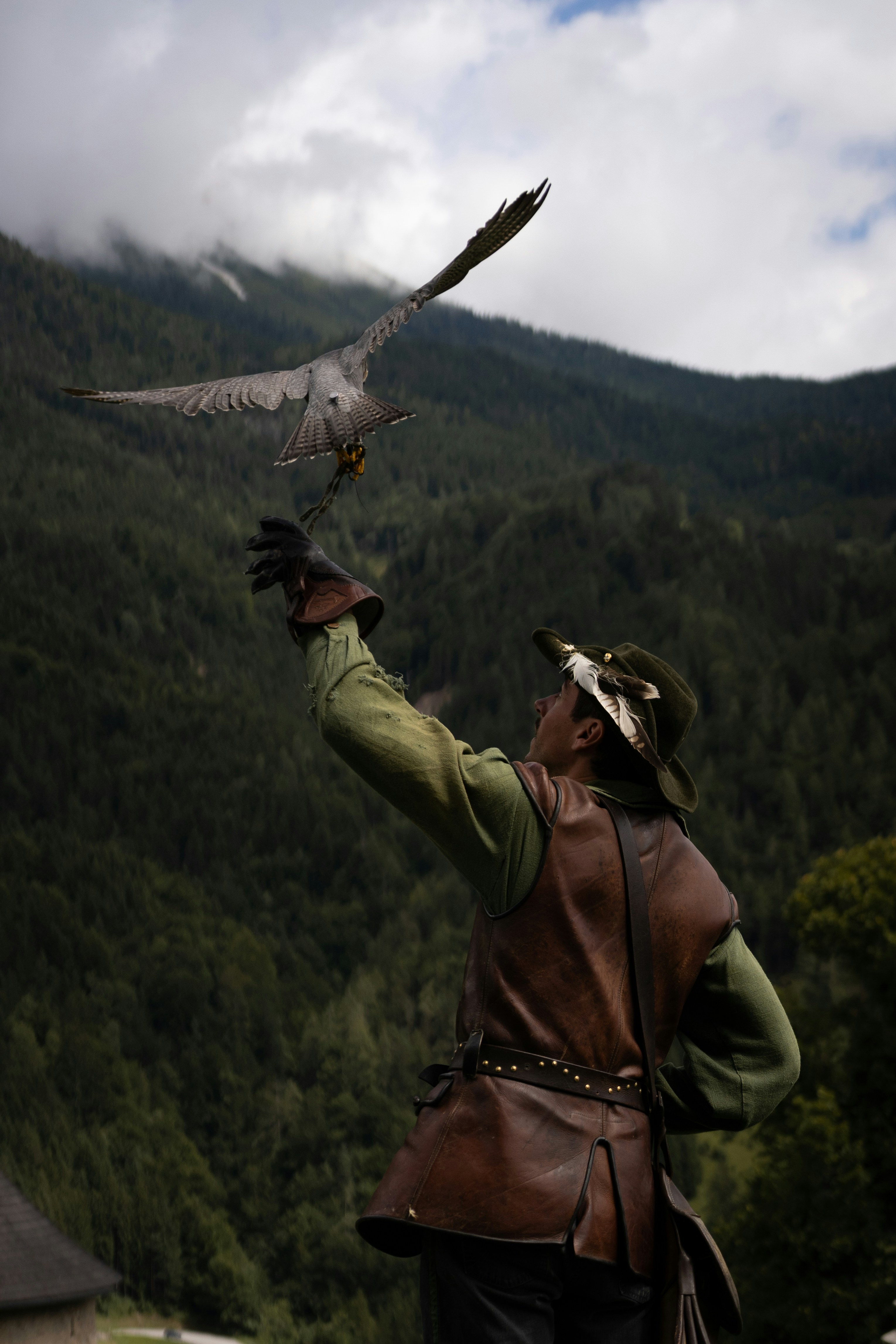 Harmony in Flight: A Falconer's Bond