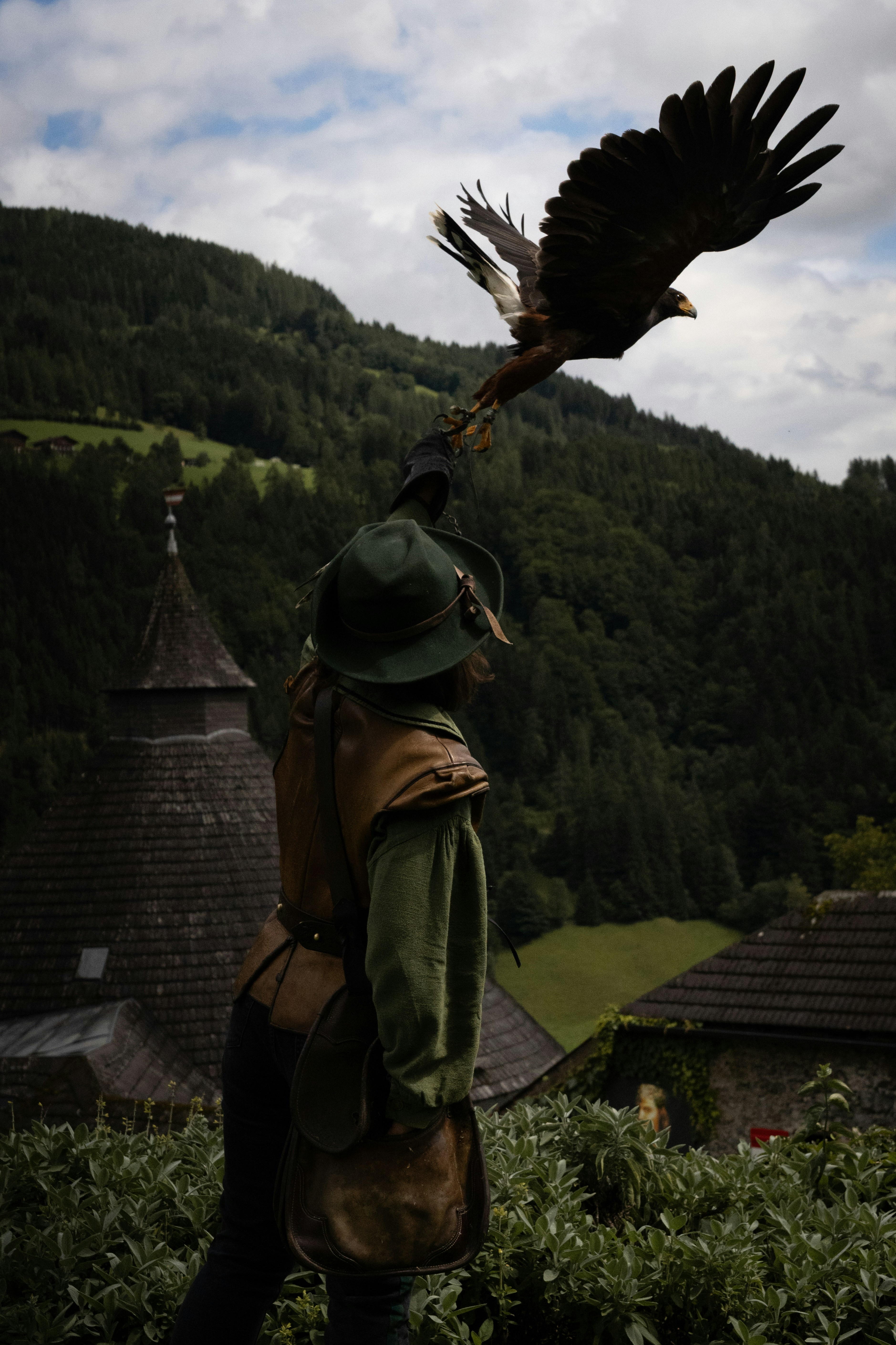 Wingbeat at the Hamlet: Falconer Releasing an Eagle Over Alpine Roofs