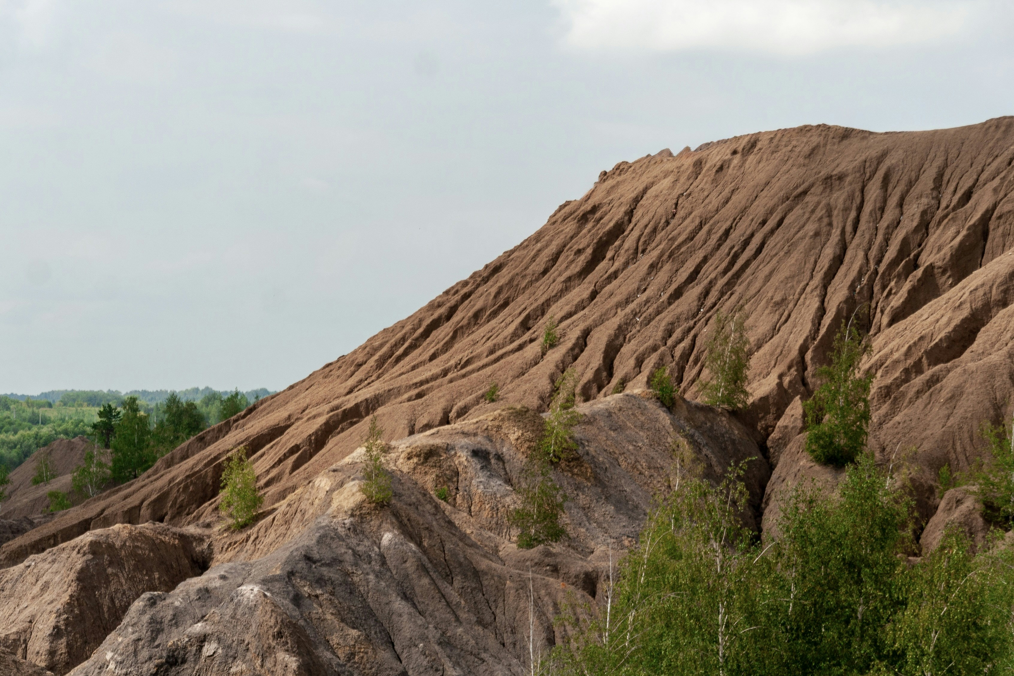 A detailed view of the steep, layered, and eroded brown slope of an artificial hill, with small trees attempting to grow on its surface | A reddish, weathered hill with small trees.