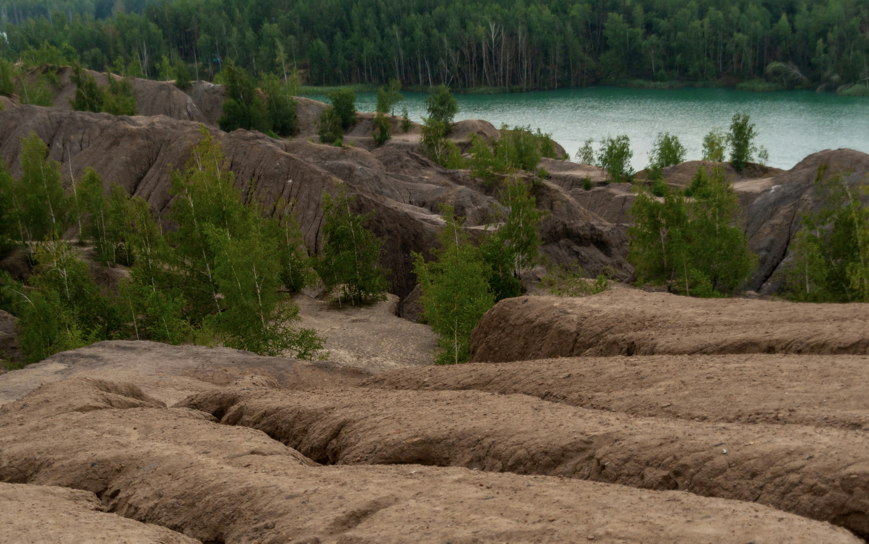 A close-up view of the rugged, cracked brown earth and small trees growing on the slopes of the industrial quarry | Eroded landscape with water and greenery.