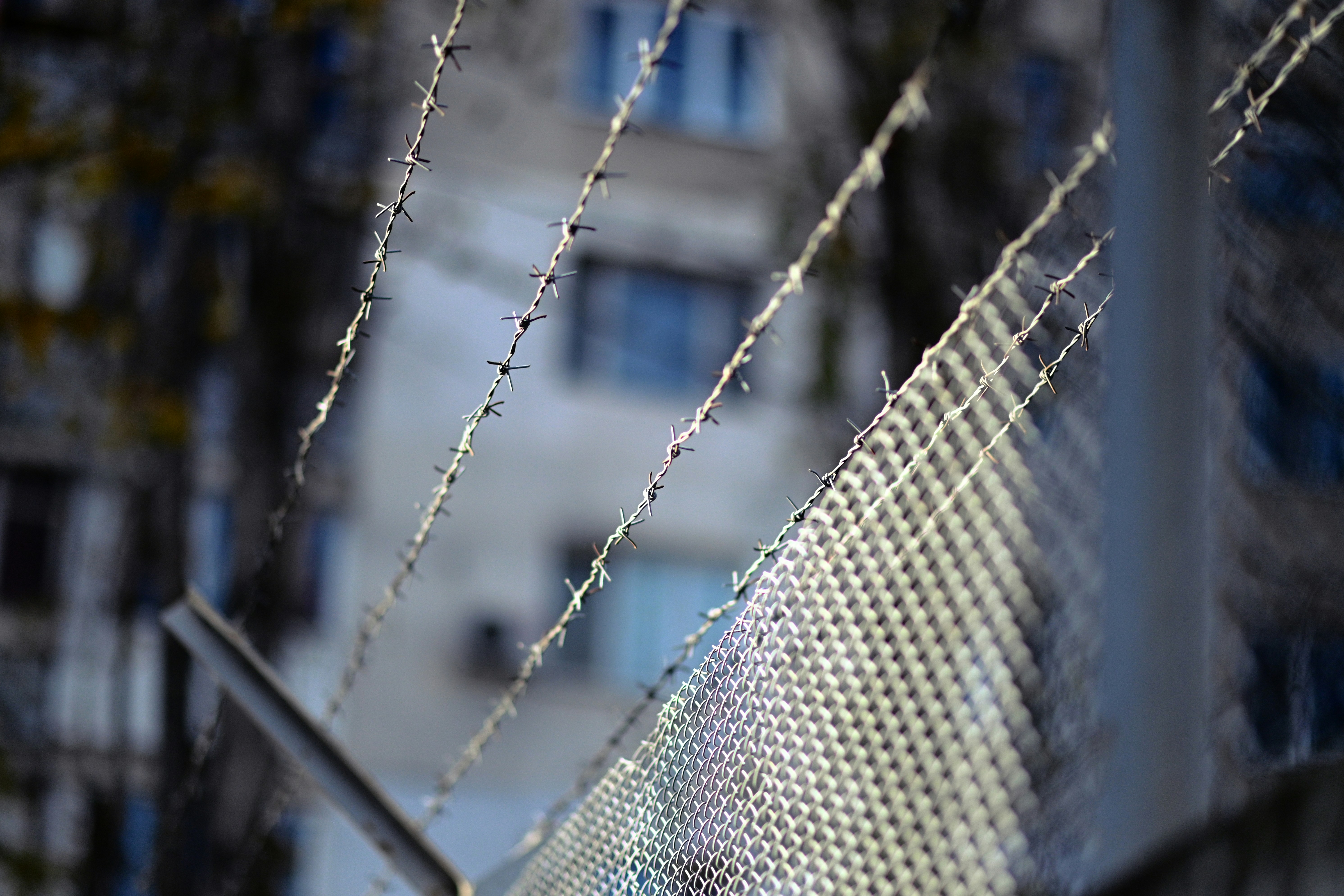 Veil of Barbed Shadows
