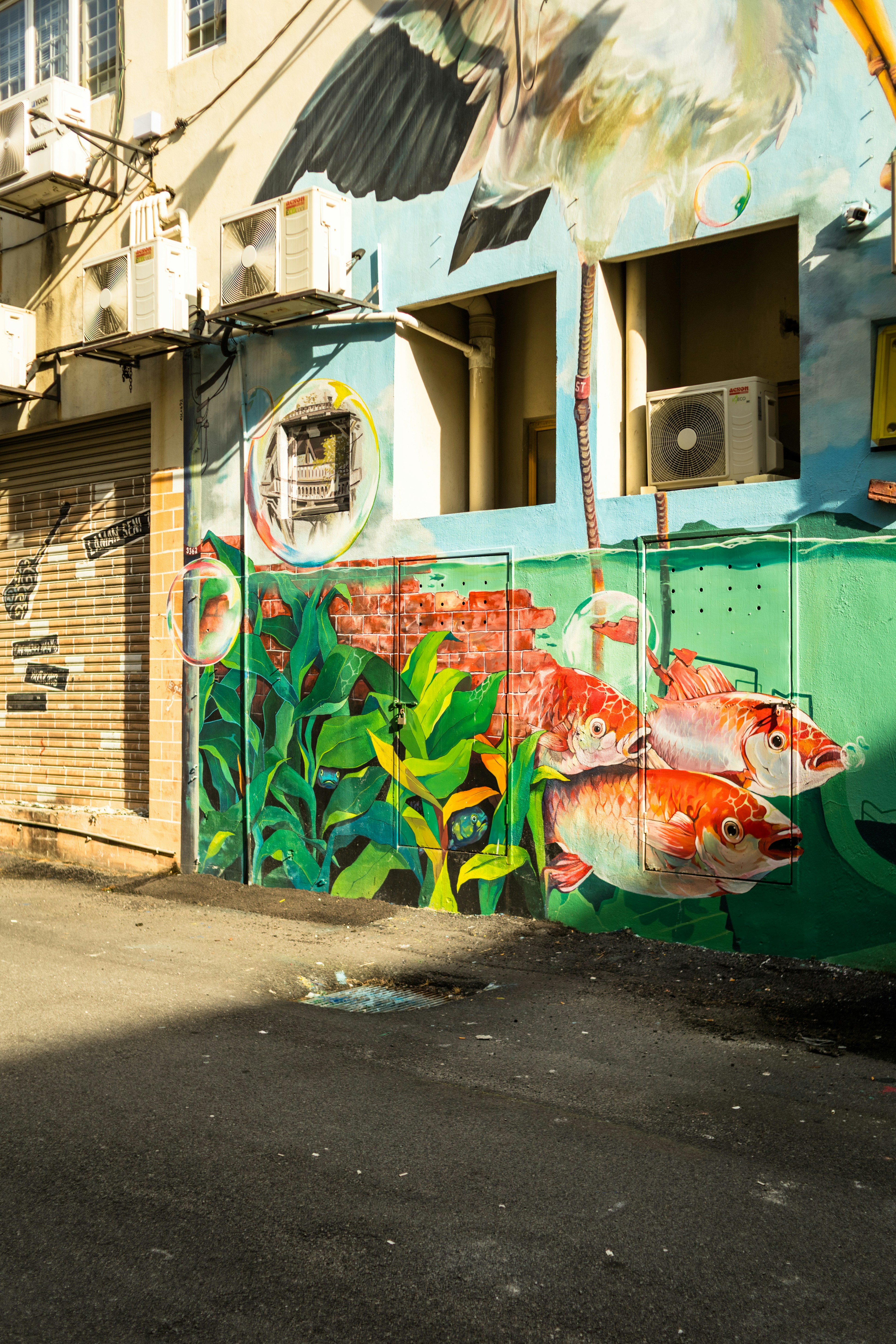 Koi Chorus on a City Wall