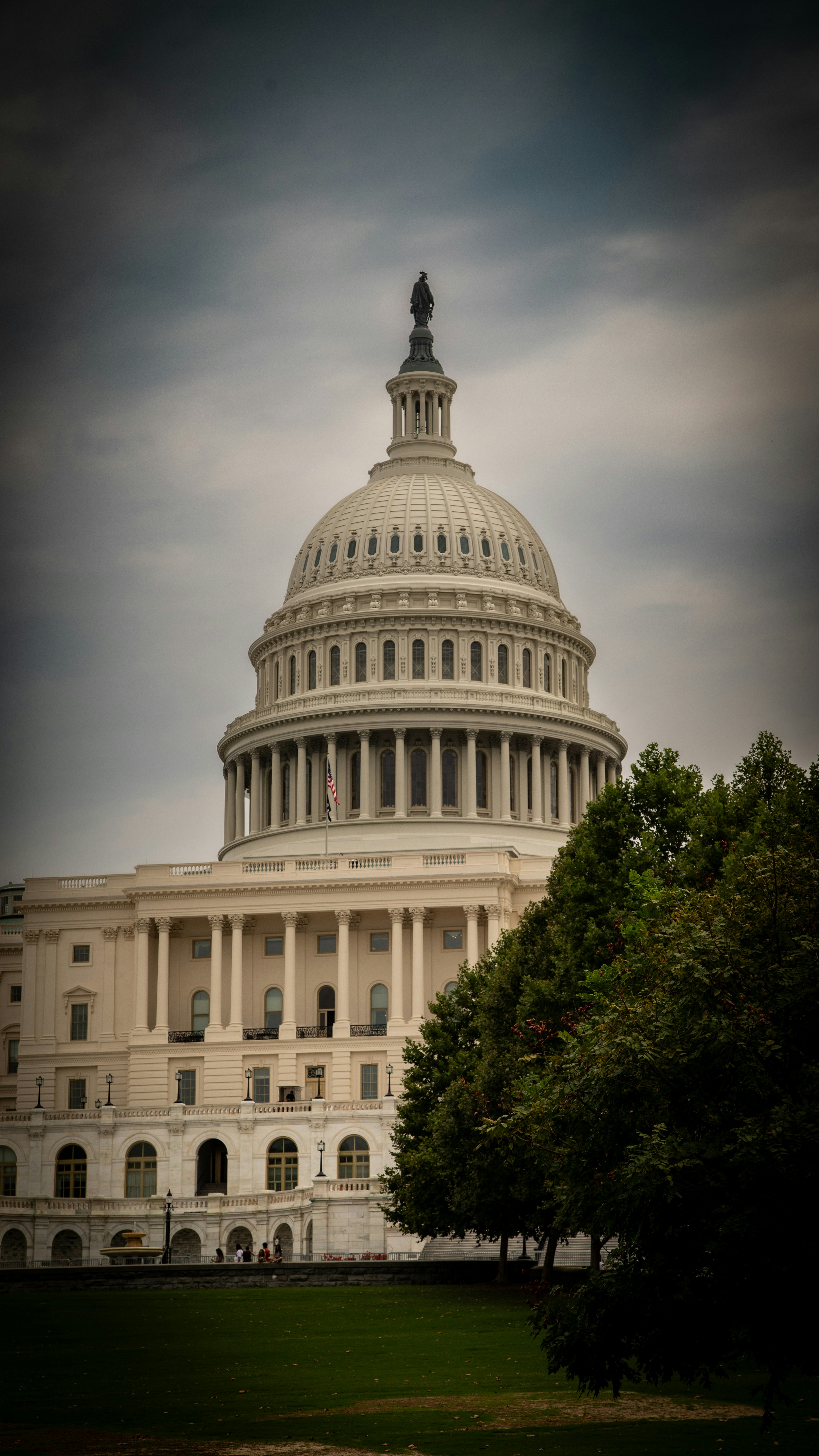 The iconic dome of the U.S. Capitol Building framed by lush greenery, showcasing architectural grandeur against a moody sky.