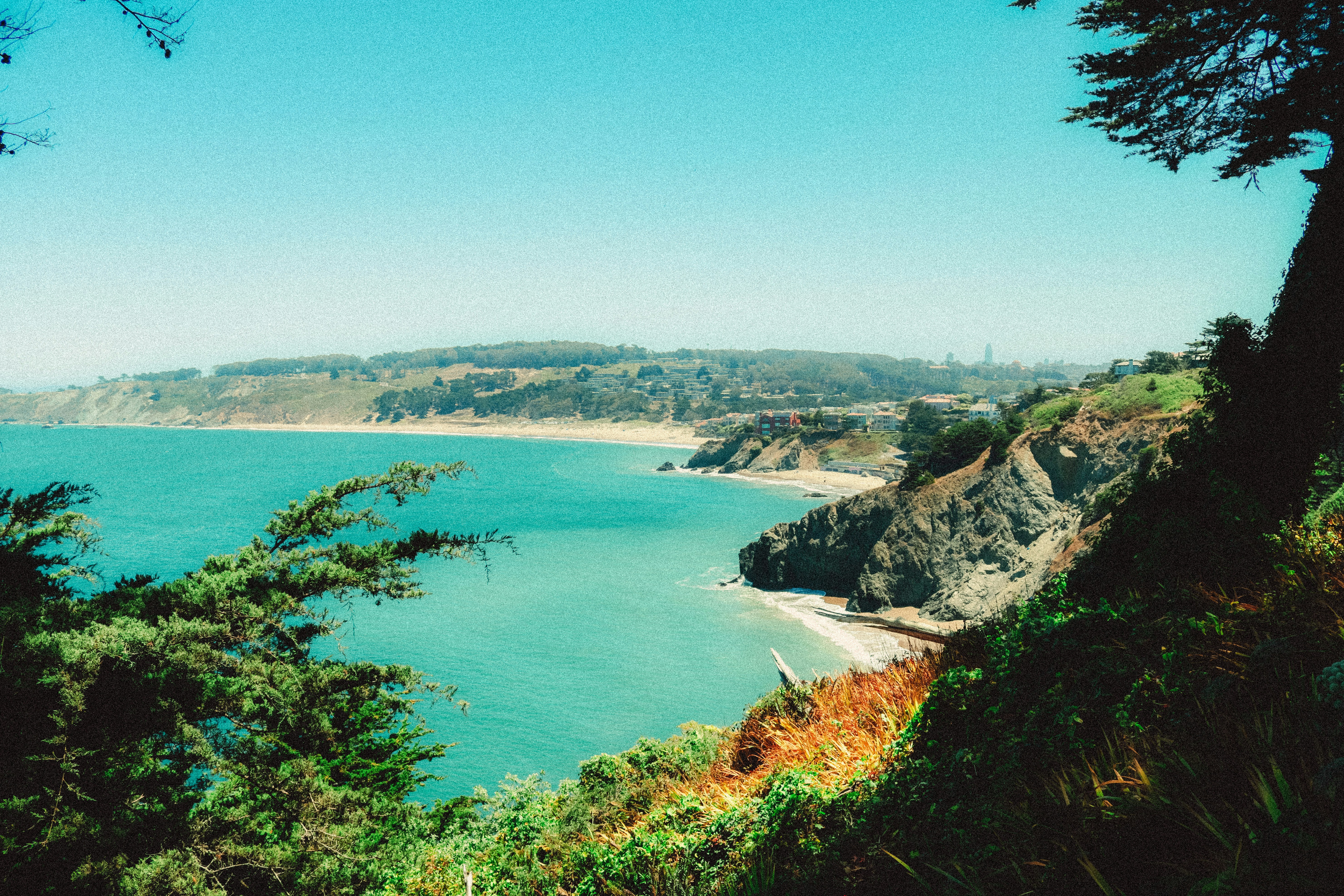Coastal Serenity: A Glimpse of Nature's Palette