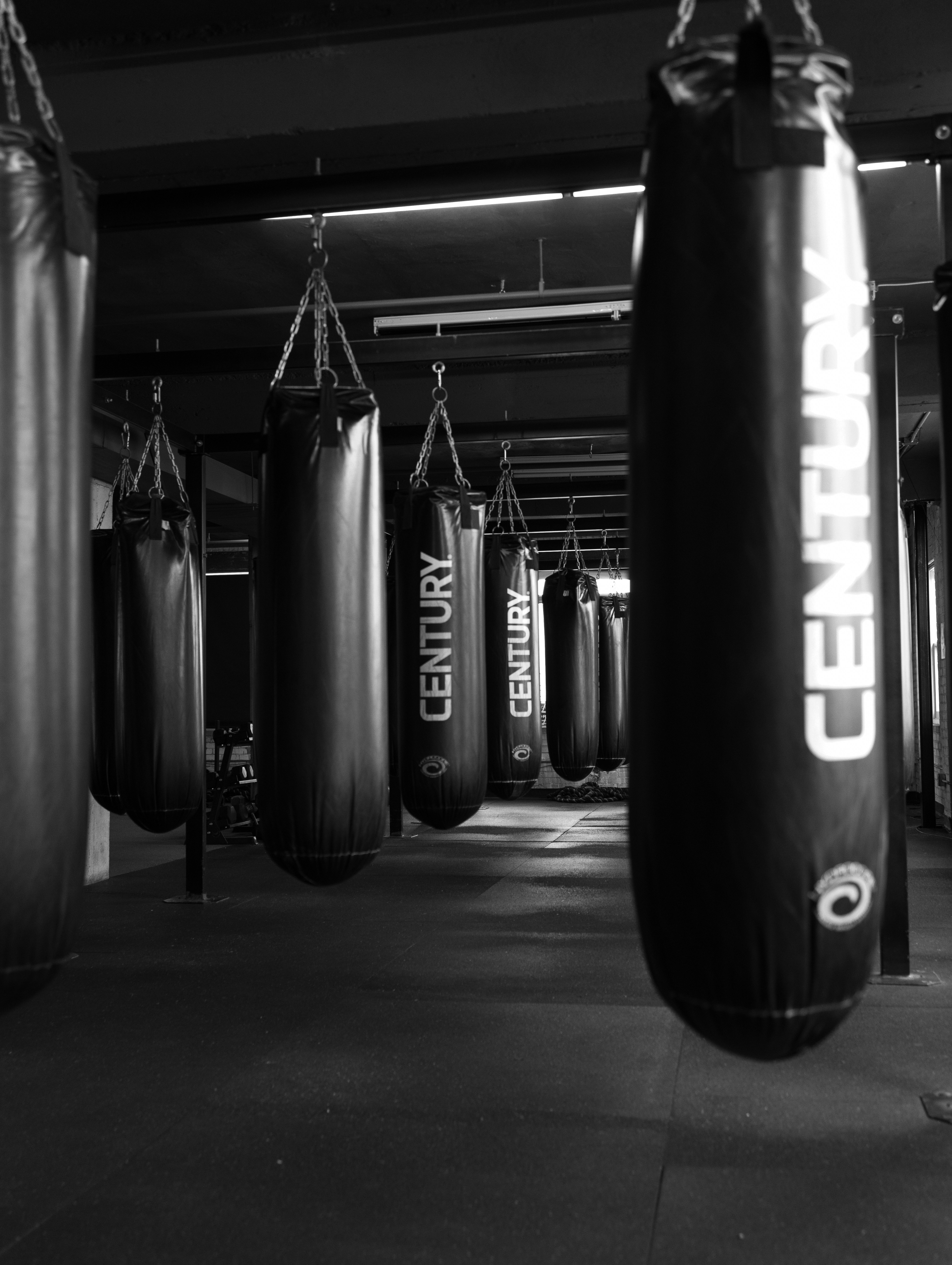 Boxing gym with hanging punching bags.
