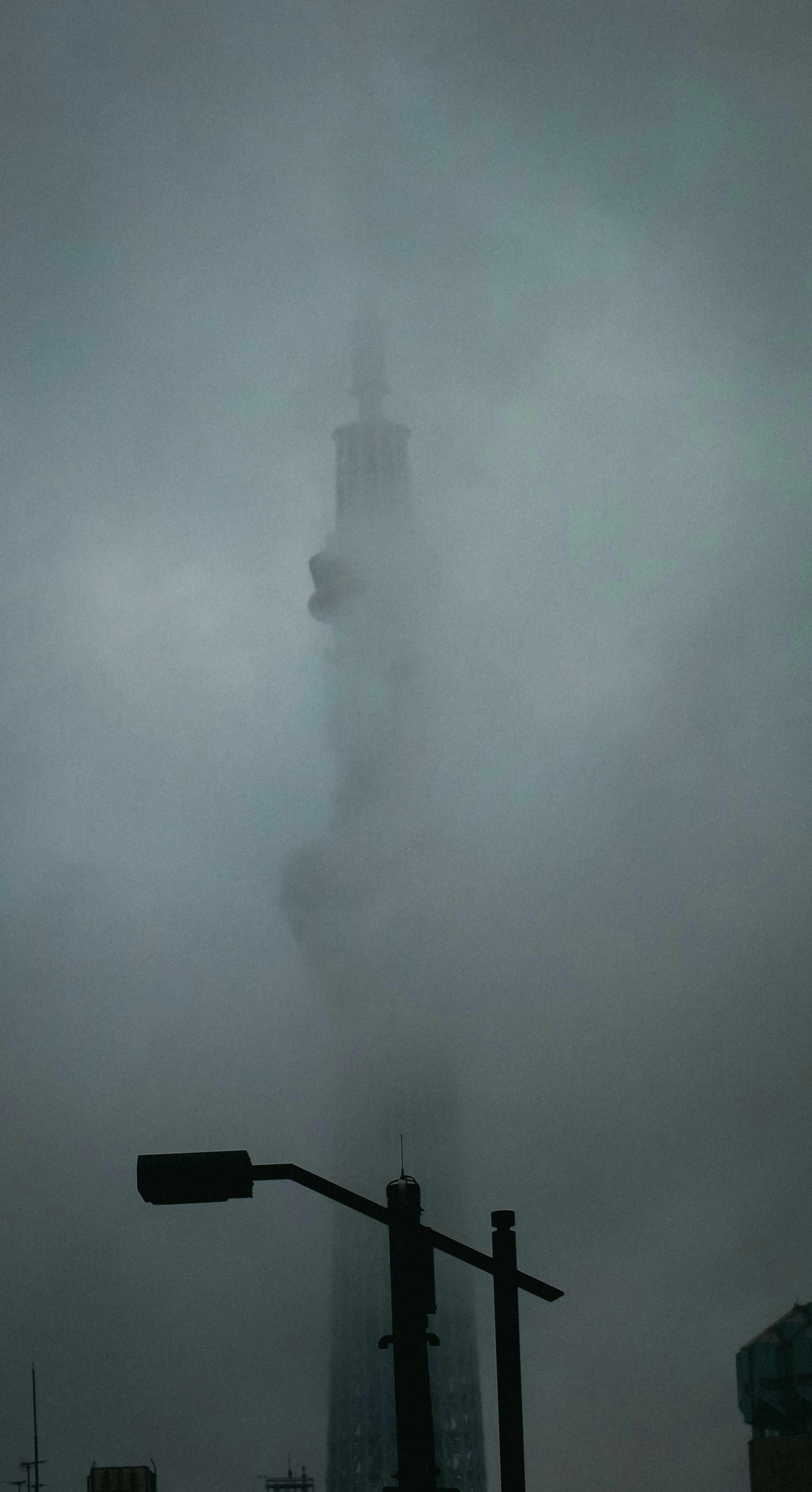 Veiled Heights: The Tower in the Mist