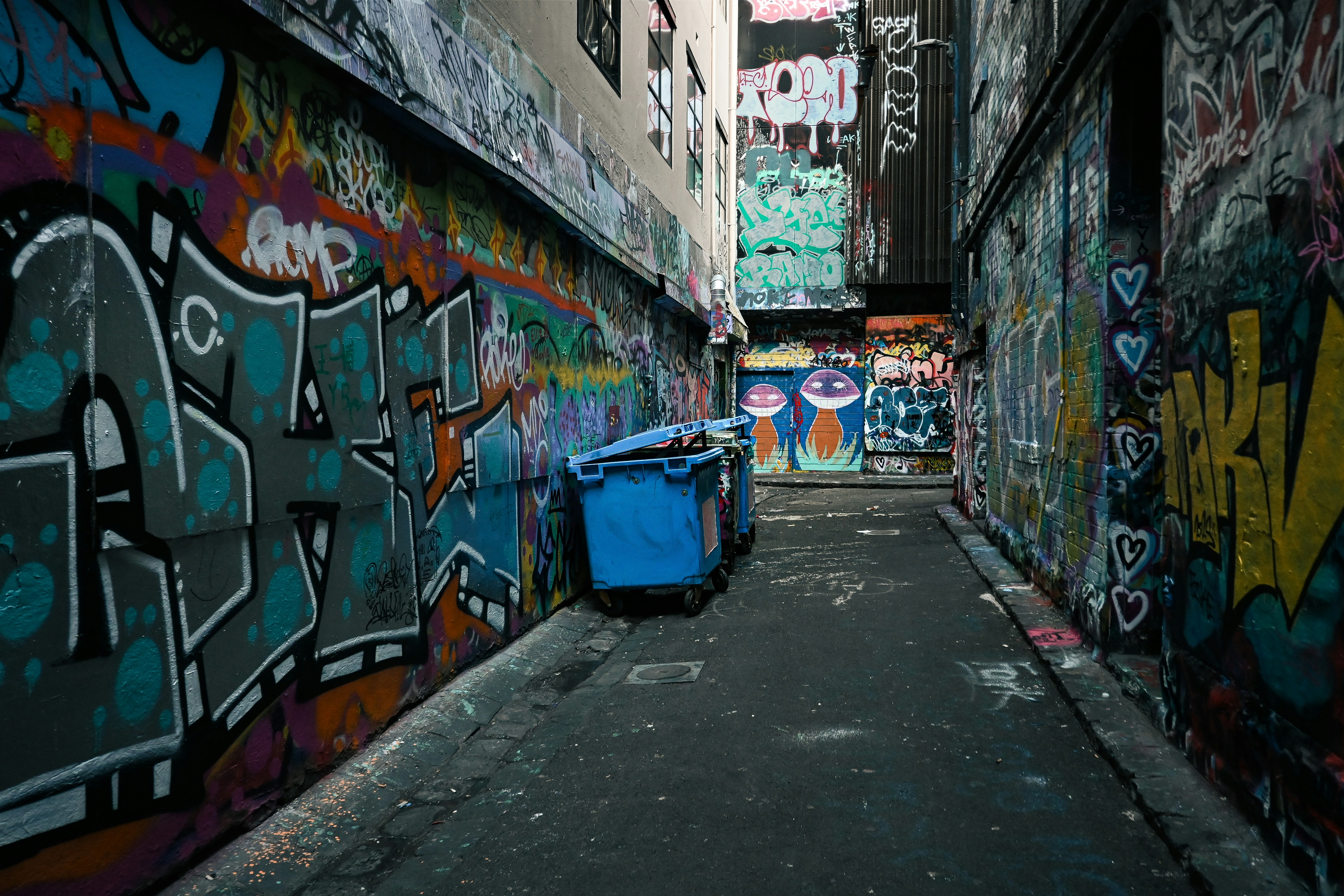 Graffiti art covers a narrow, urban alleyway.