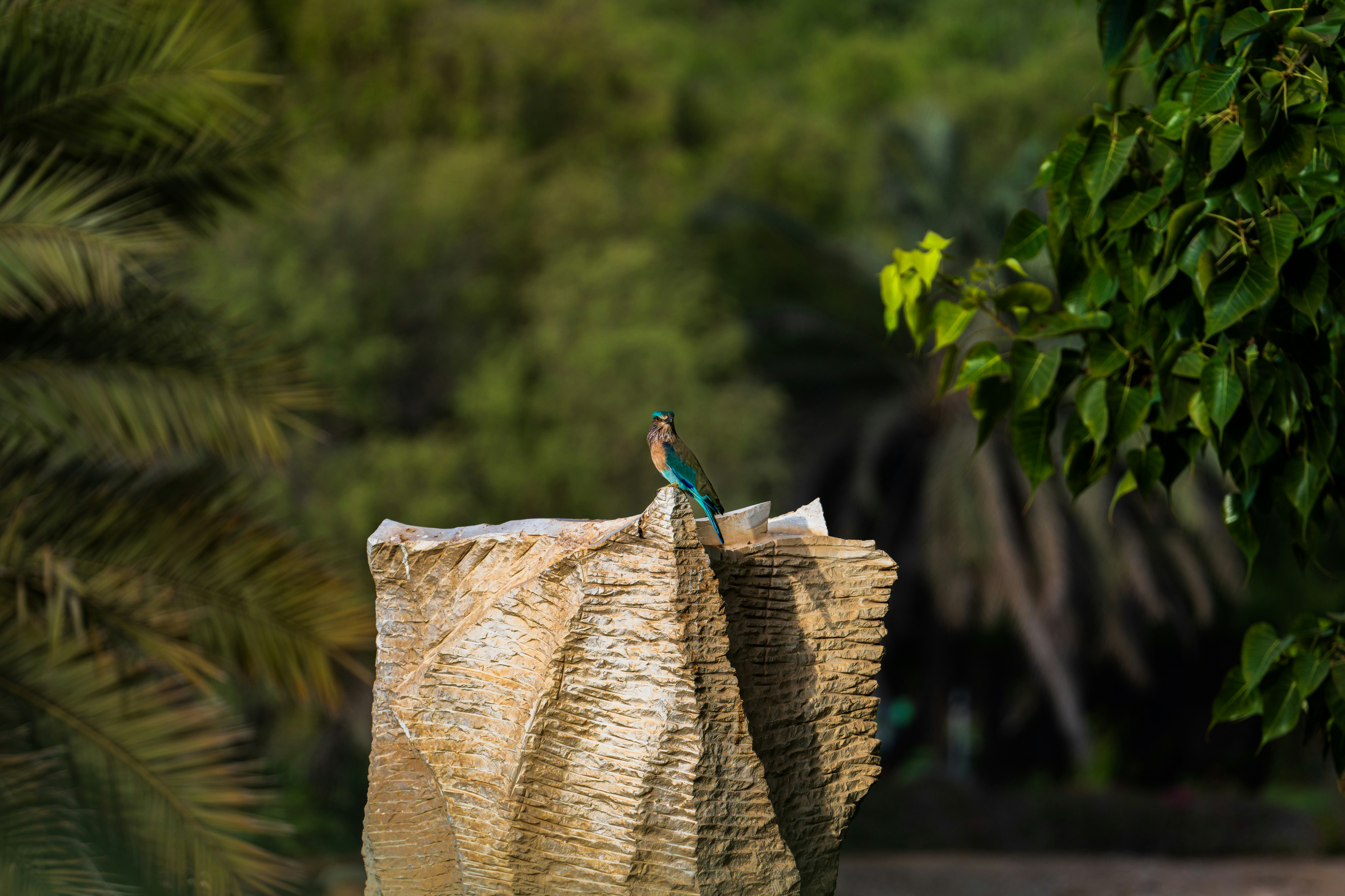 Nature's Perch: A Moment of Stillness