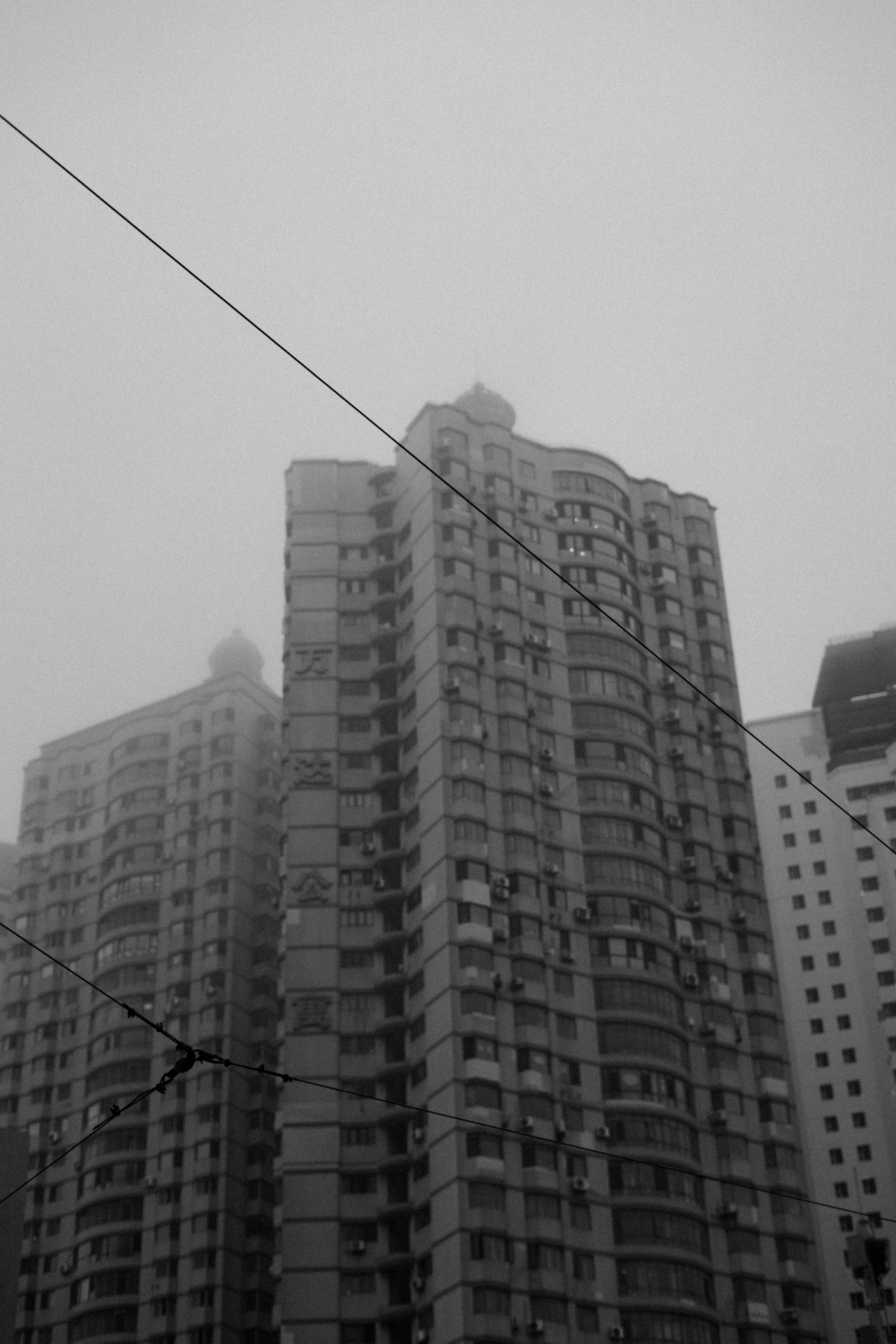 Veiled Towers: A Dance with Fog