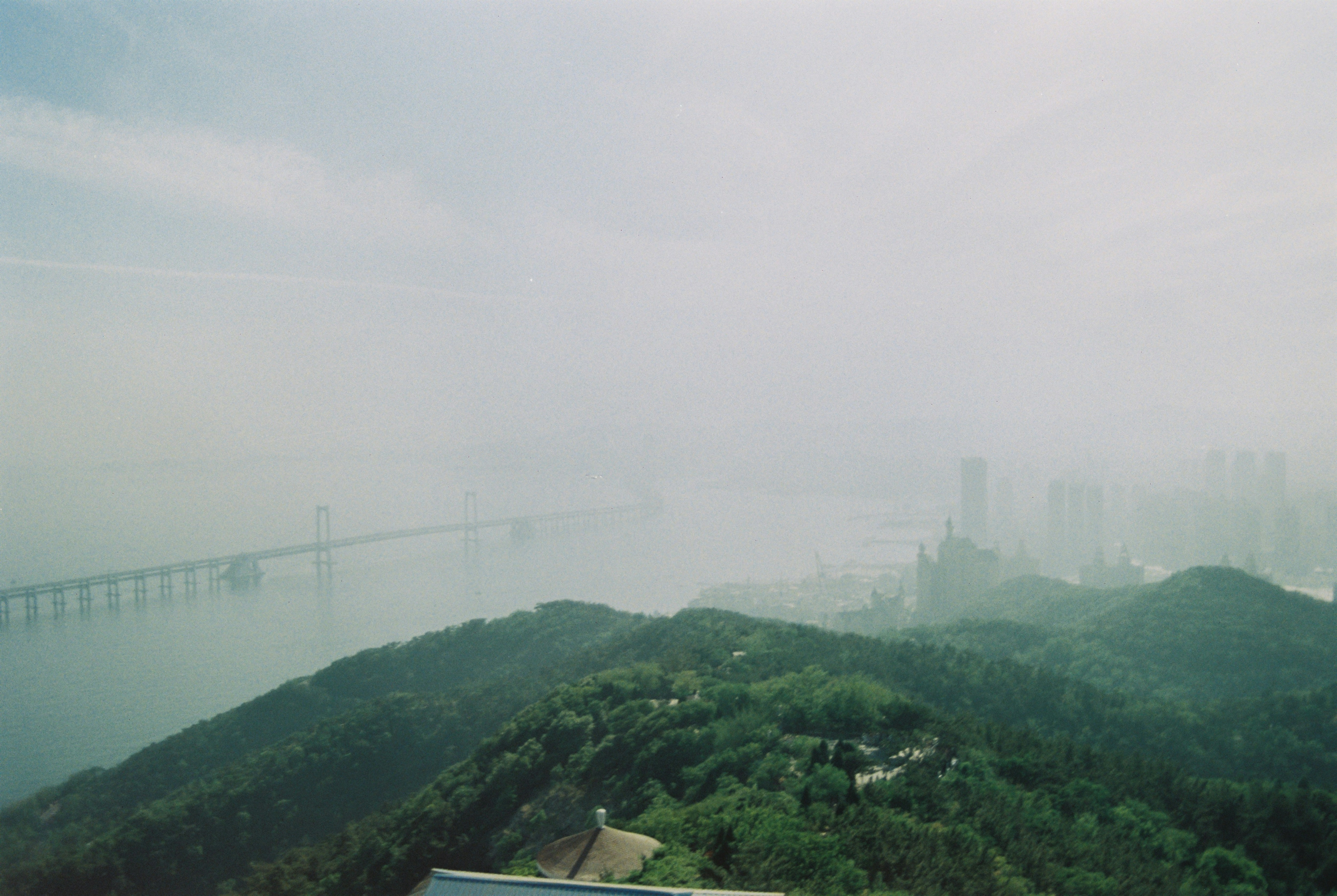 Veil of Mist Over Urban Serenity