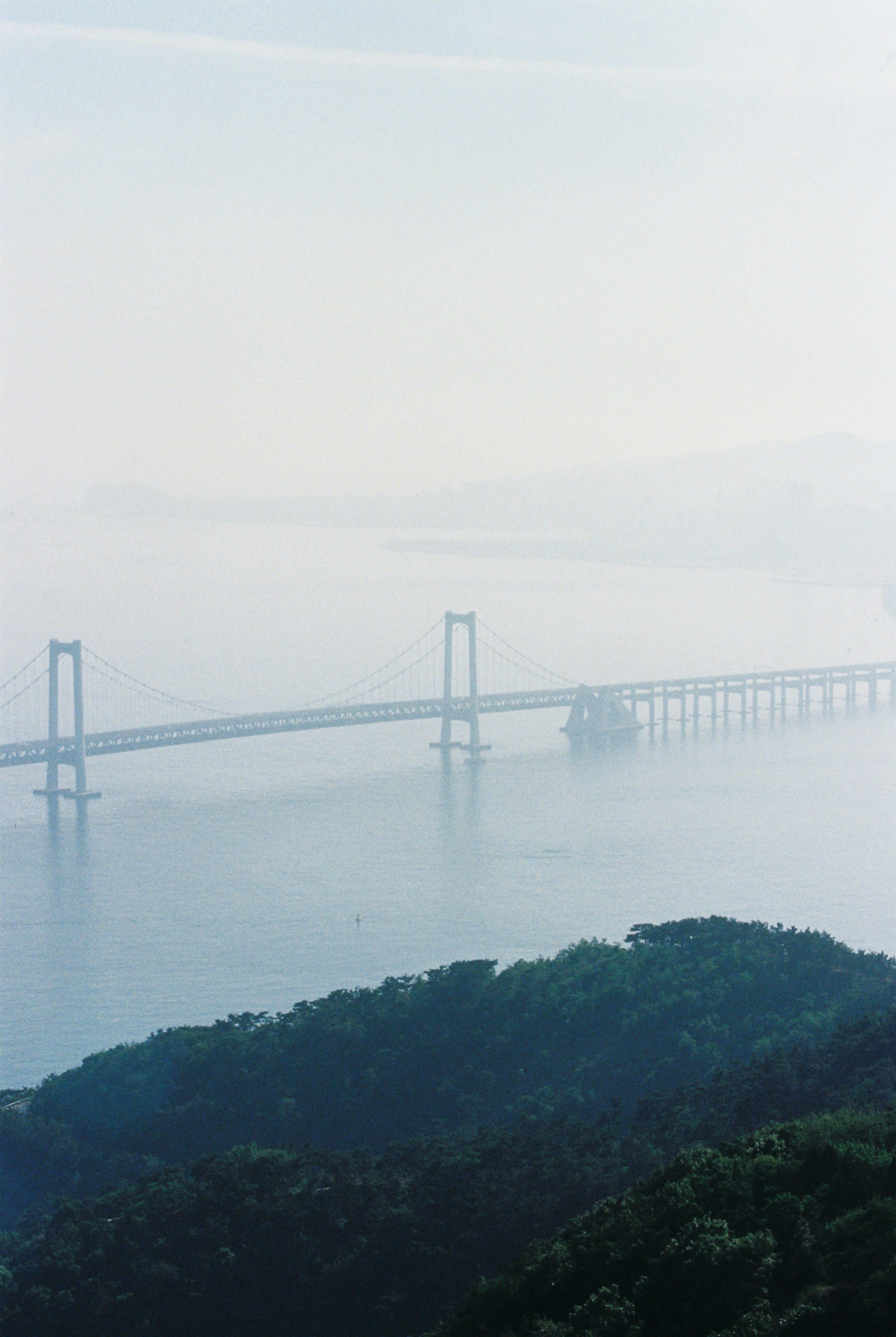 Veil of Mist: The Bridge's Silent Journey