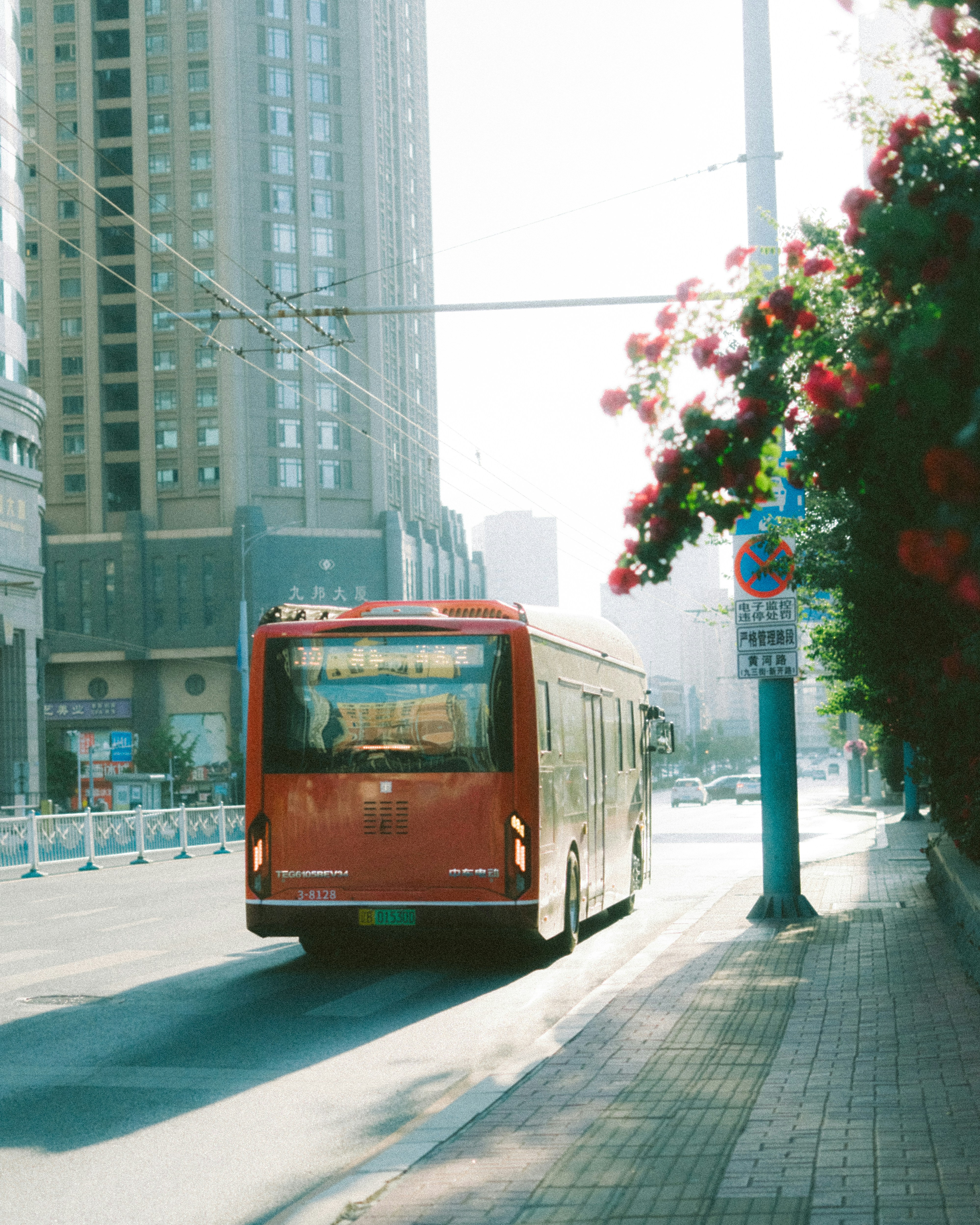 Red electric bus gliding along a sunlit city street, framed by modern buildings and vibrant flowers. 