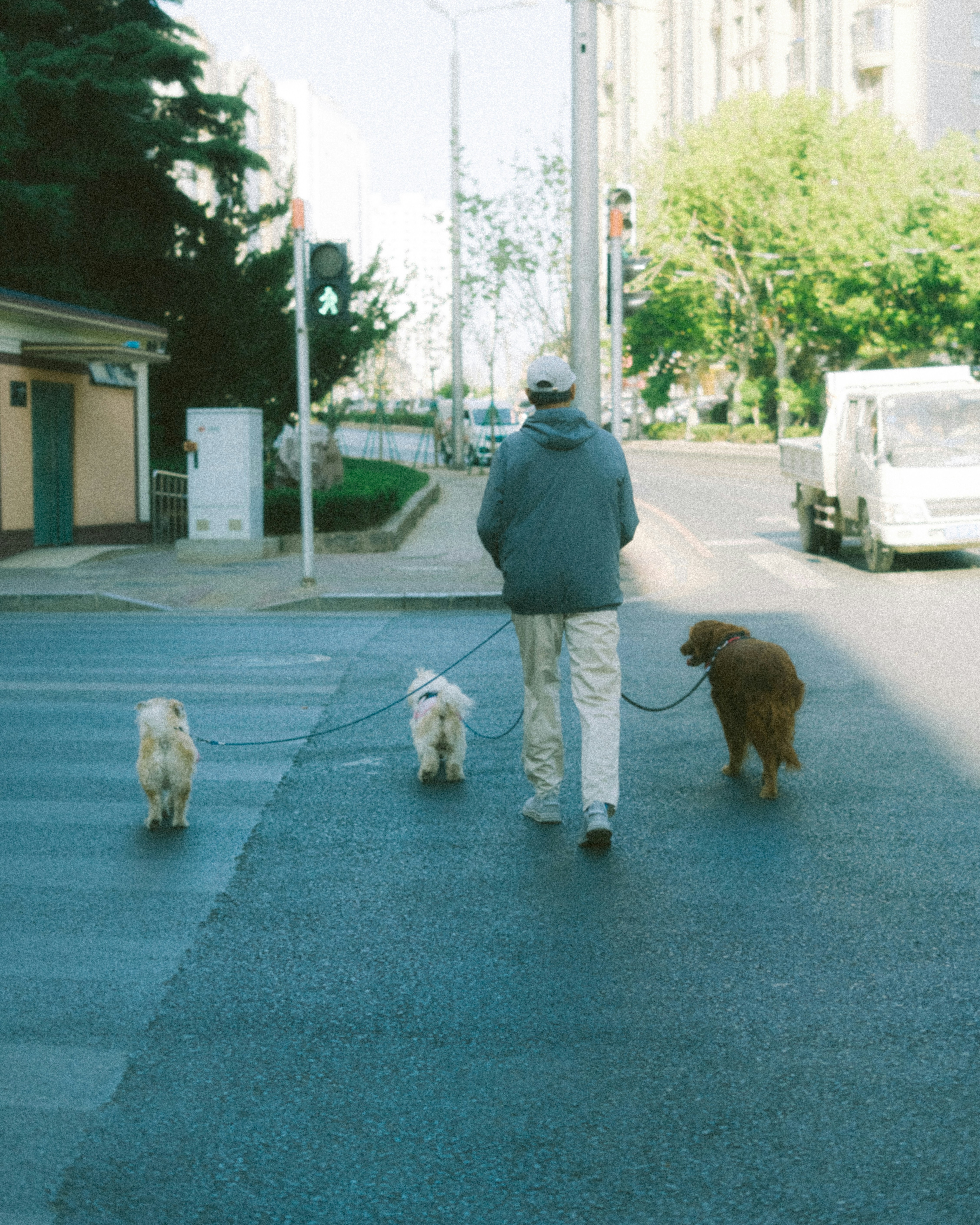 Leisurely Stroll Through the Cityscape