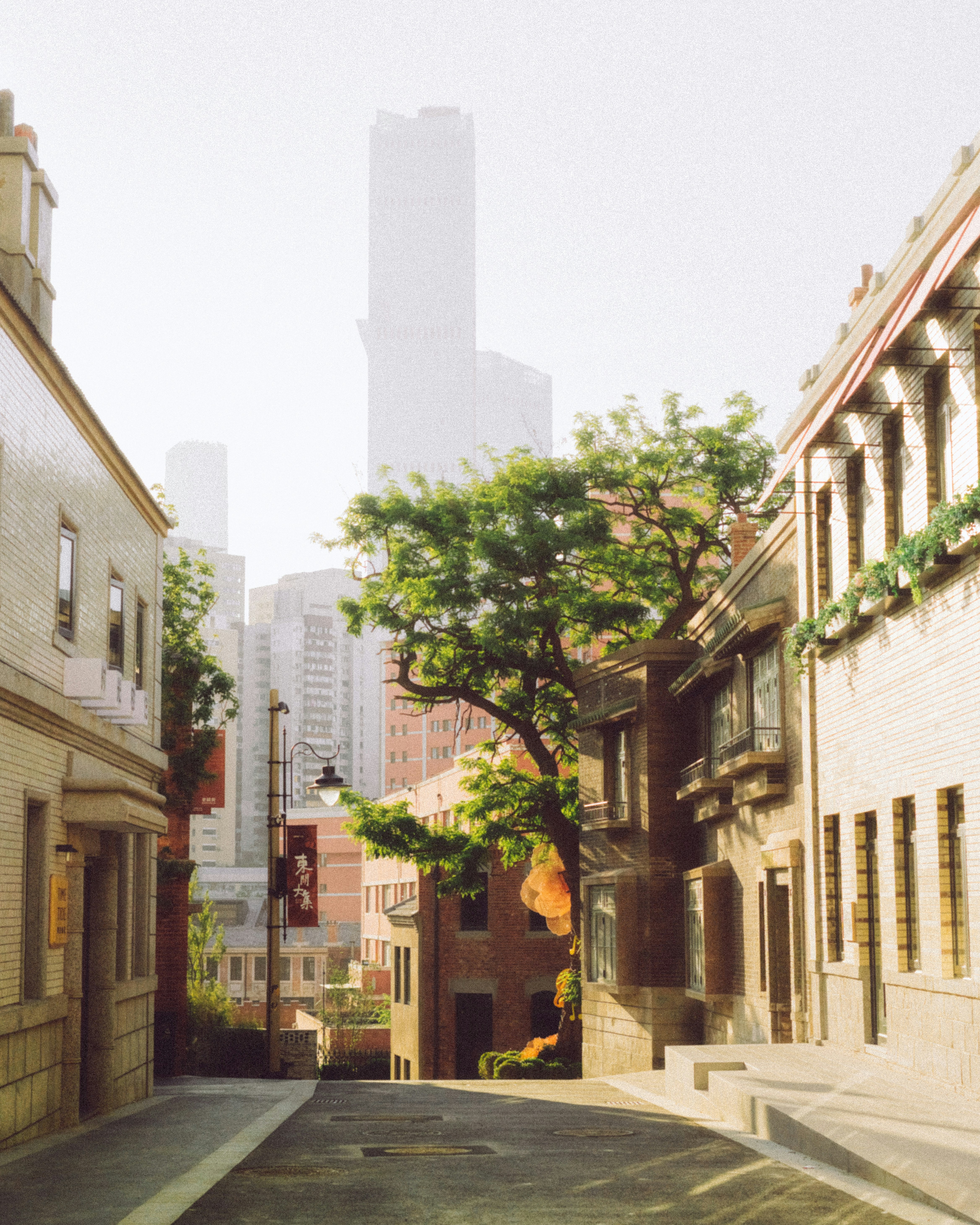 A quiet street lined with historic buildings and lush greenery, leading towards towering modern skyscrapers in the background.