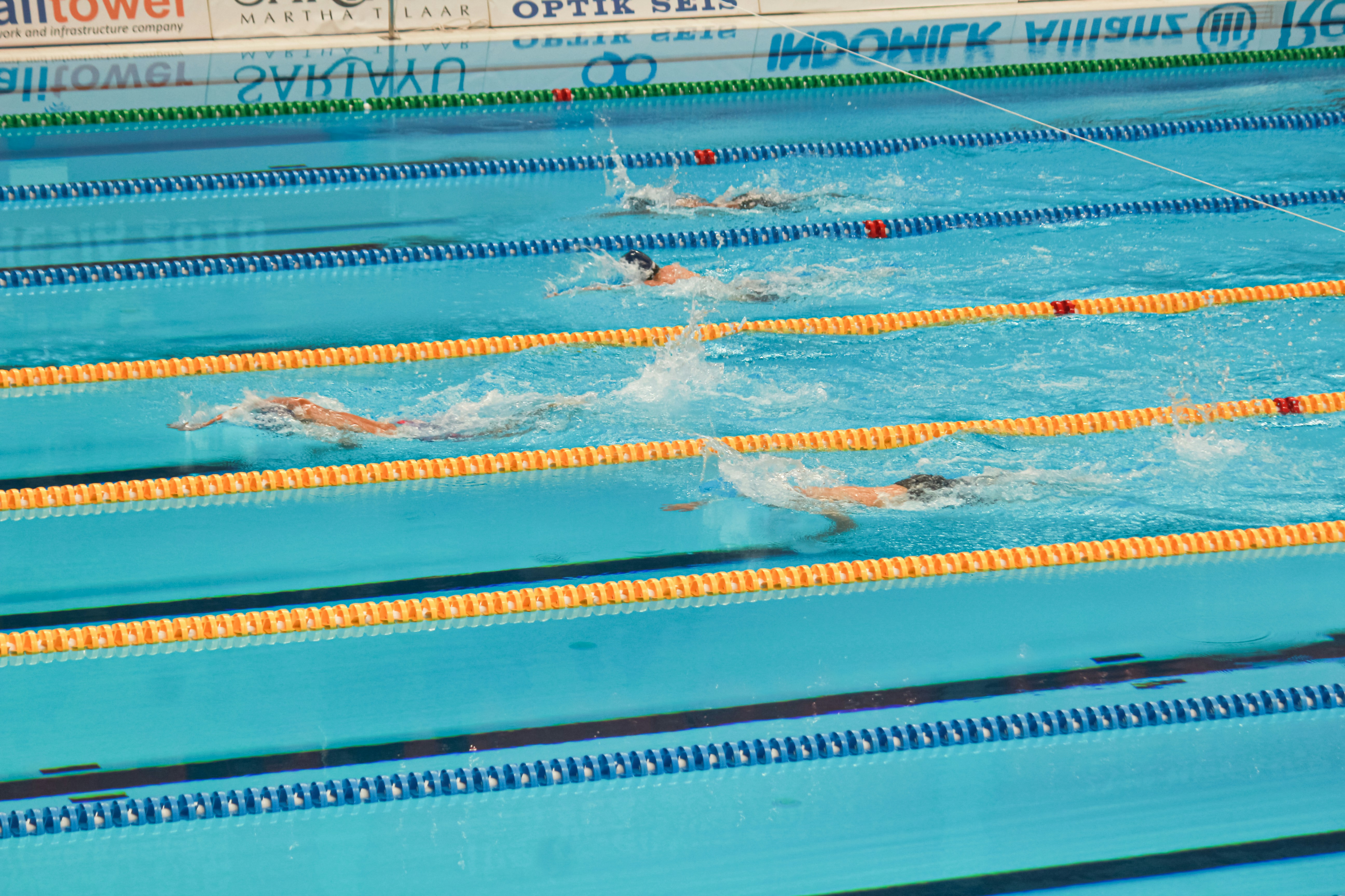 Swimmers are competing in a race.