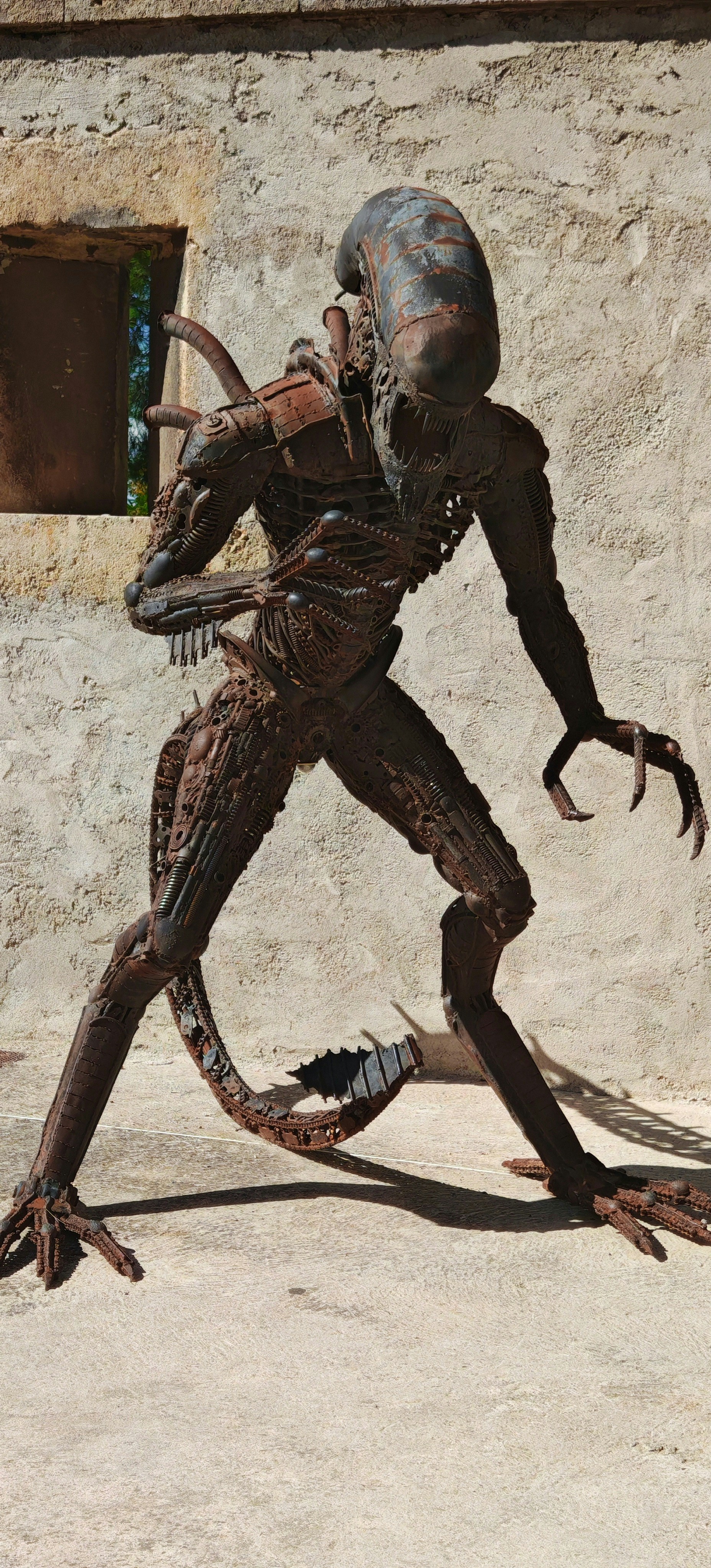 Sample photo from Honor 200 Pro