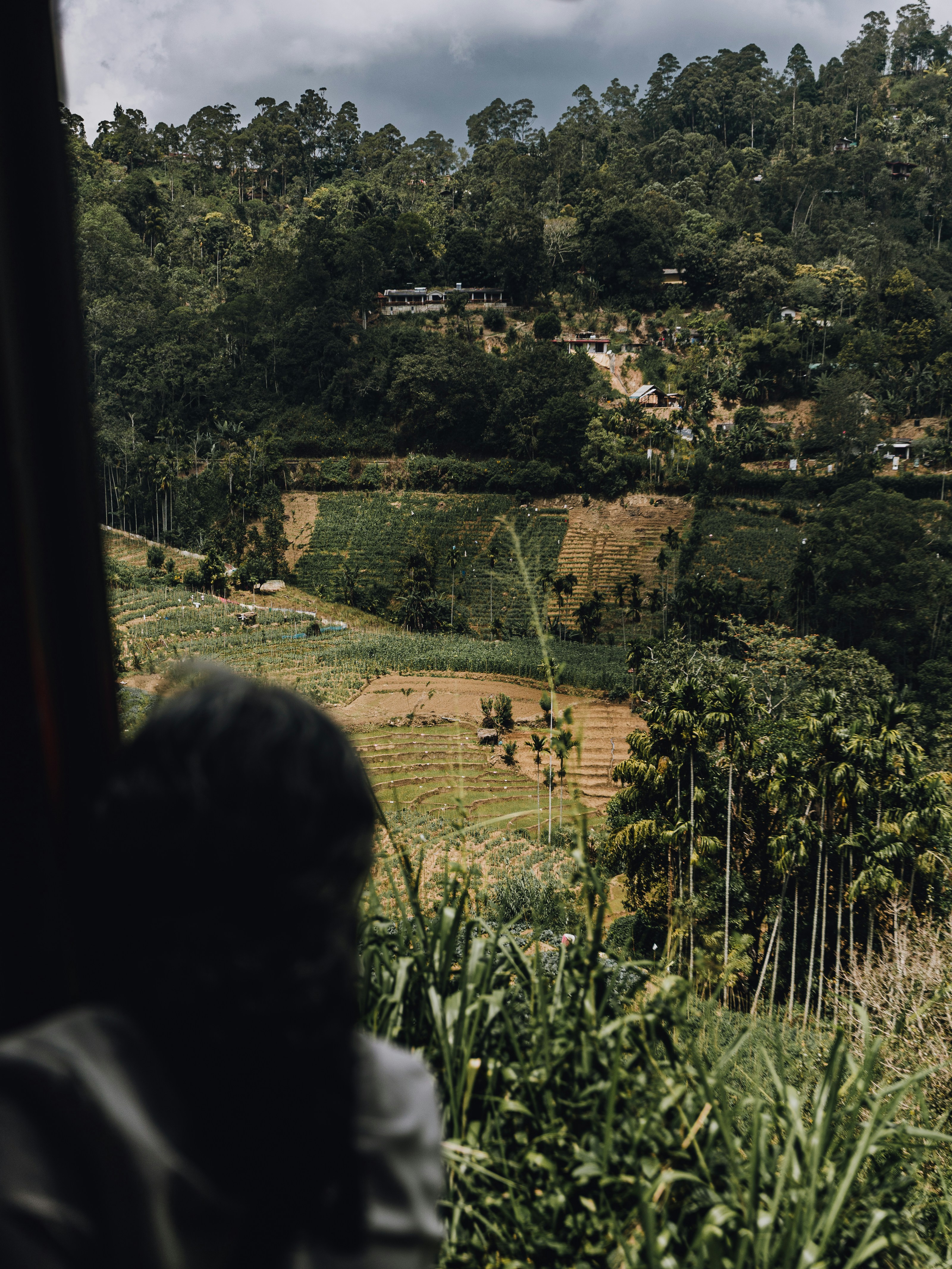 Whispers of the Terraced Fields
