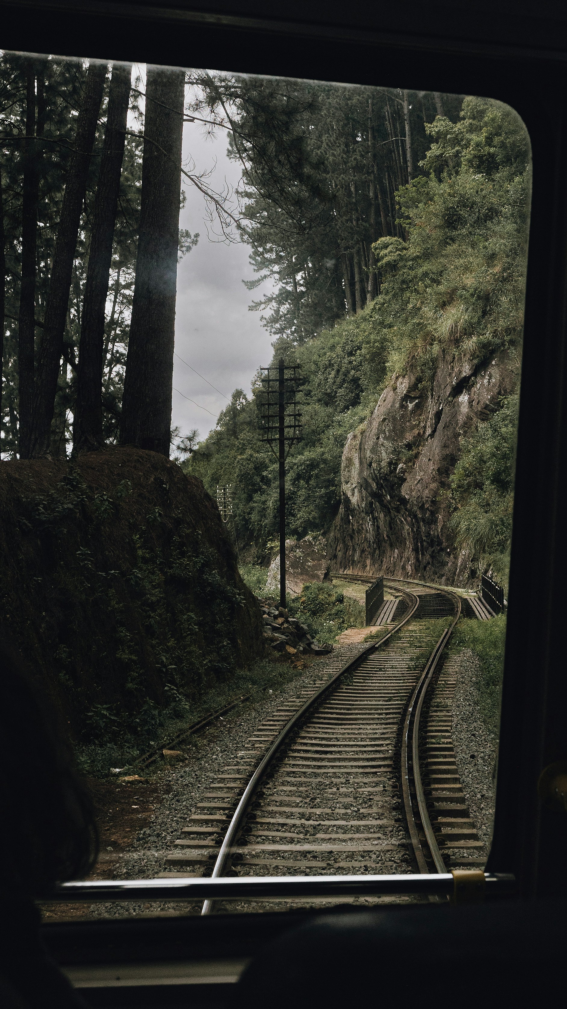 Journey Through the Curves of Nature