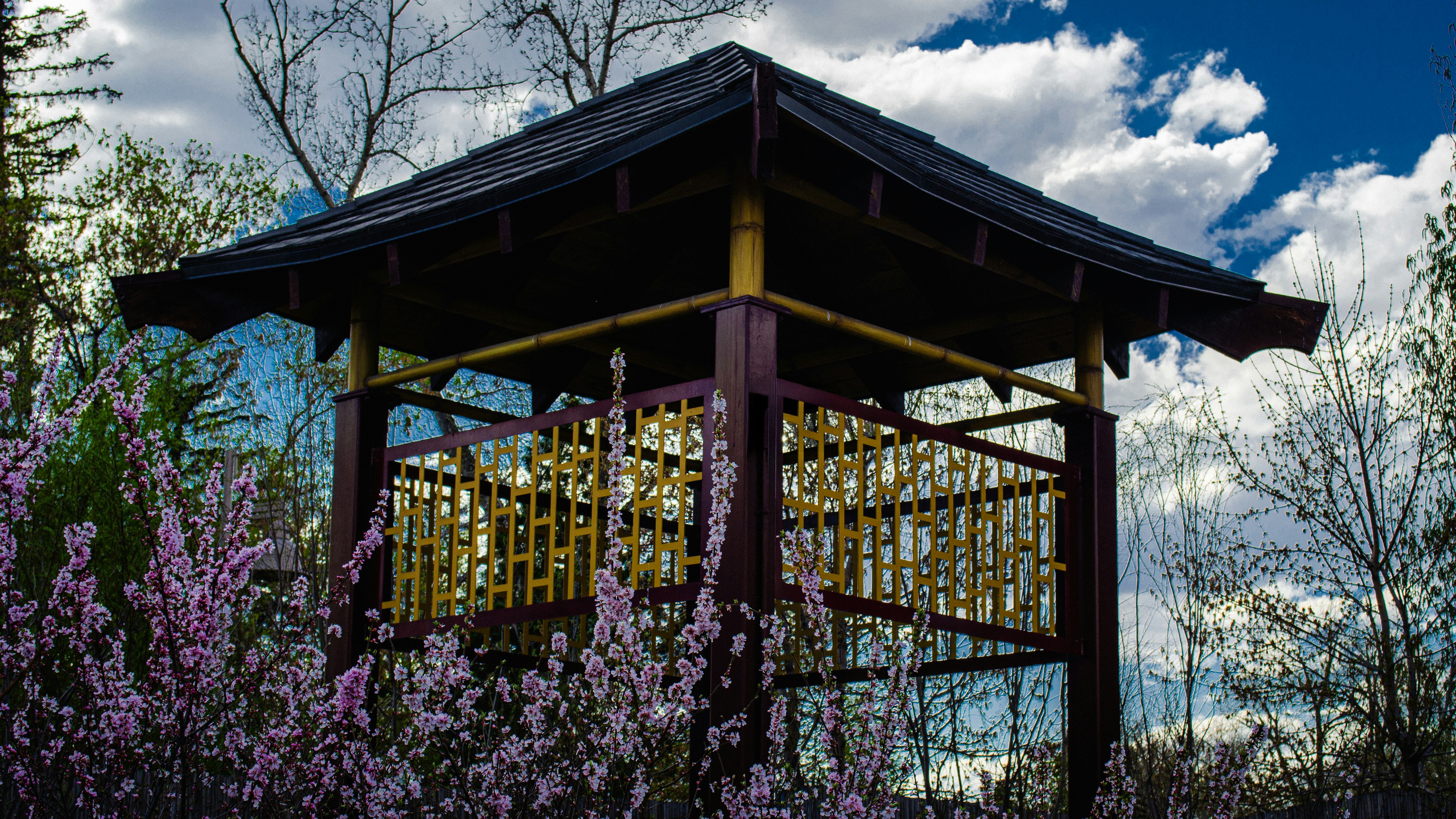 Harmony in Bloom: A Serene Pavilion Amidst Blossoms