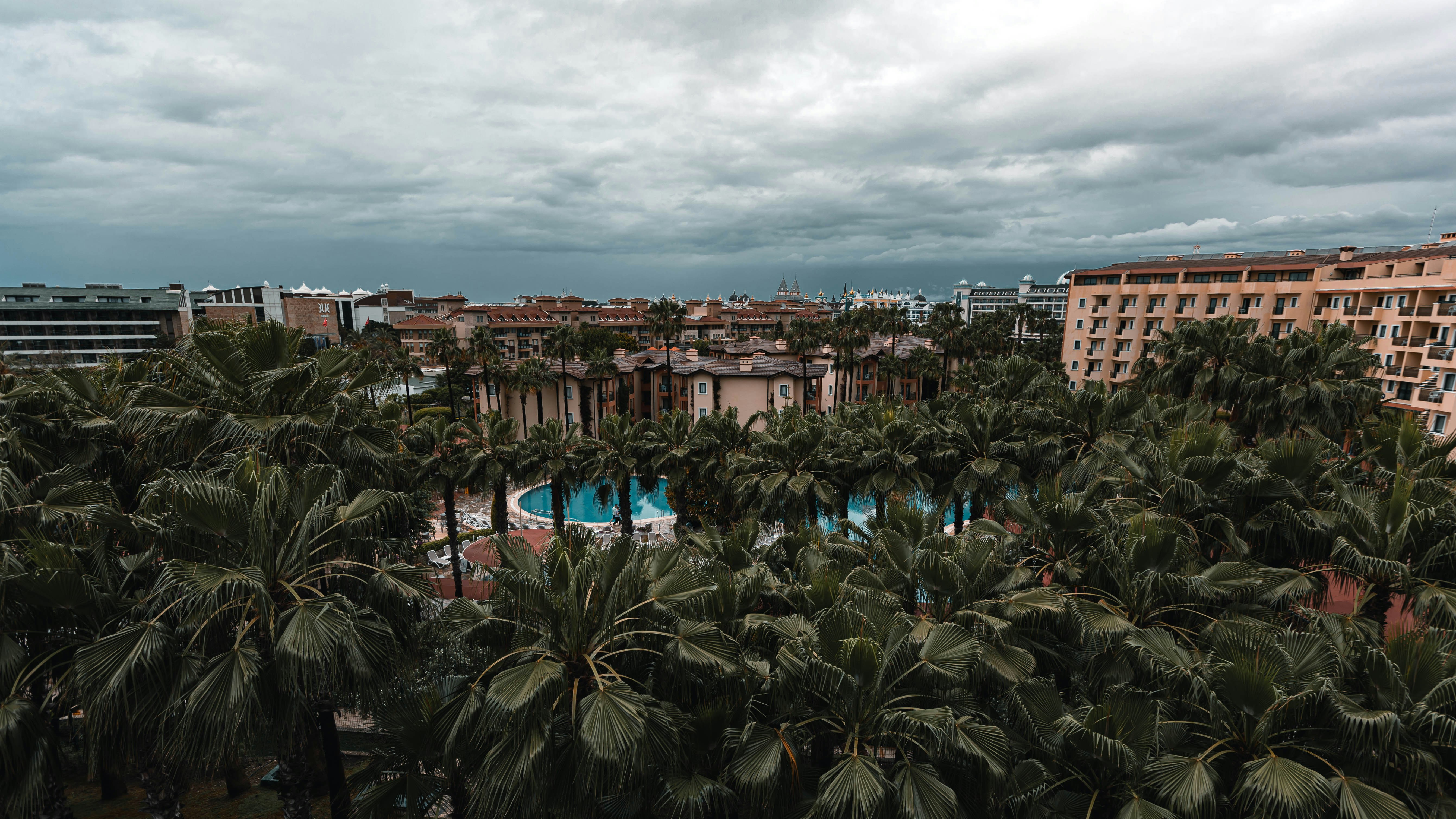 Urban Oasis Amidst the Stormy Skies