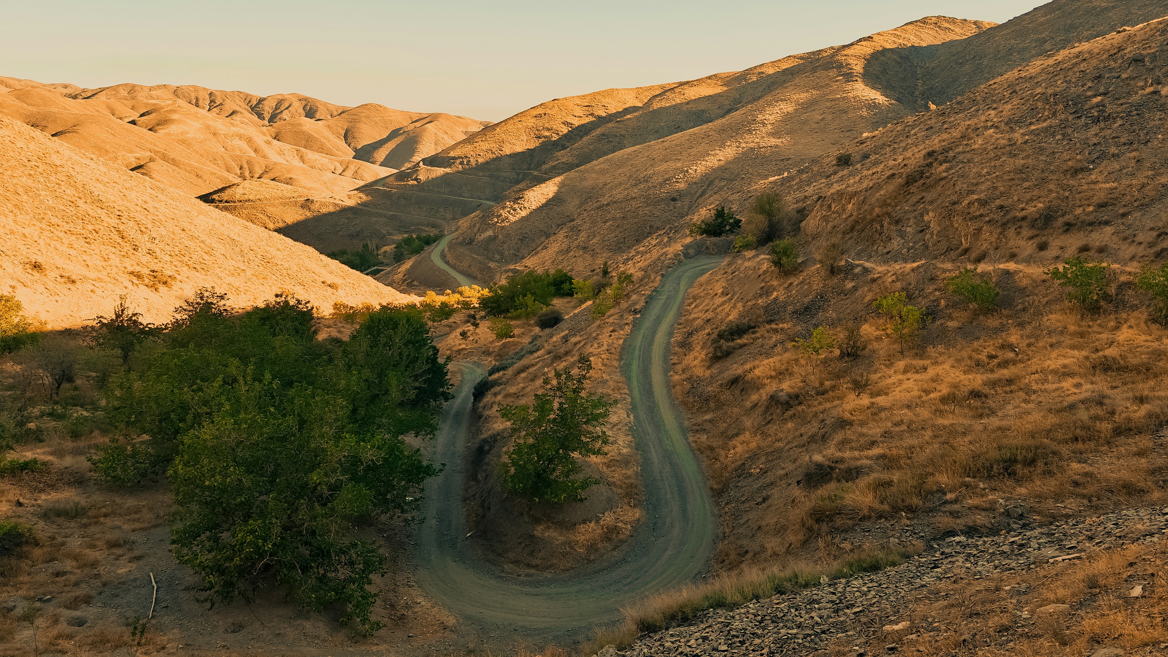 Inspired by the film Taste of Cherry directed by Abbas Kiarostami. | Winding road through dry, rolling hills at sunset.