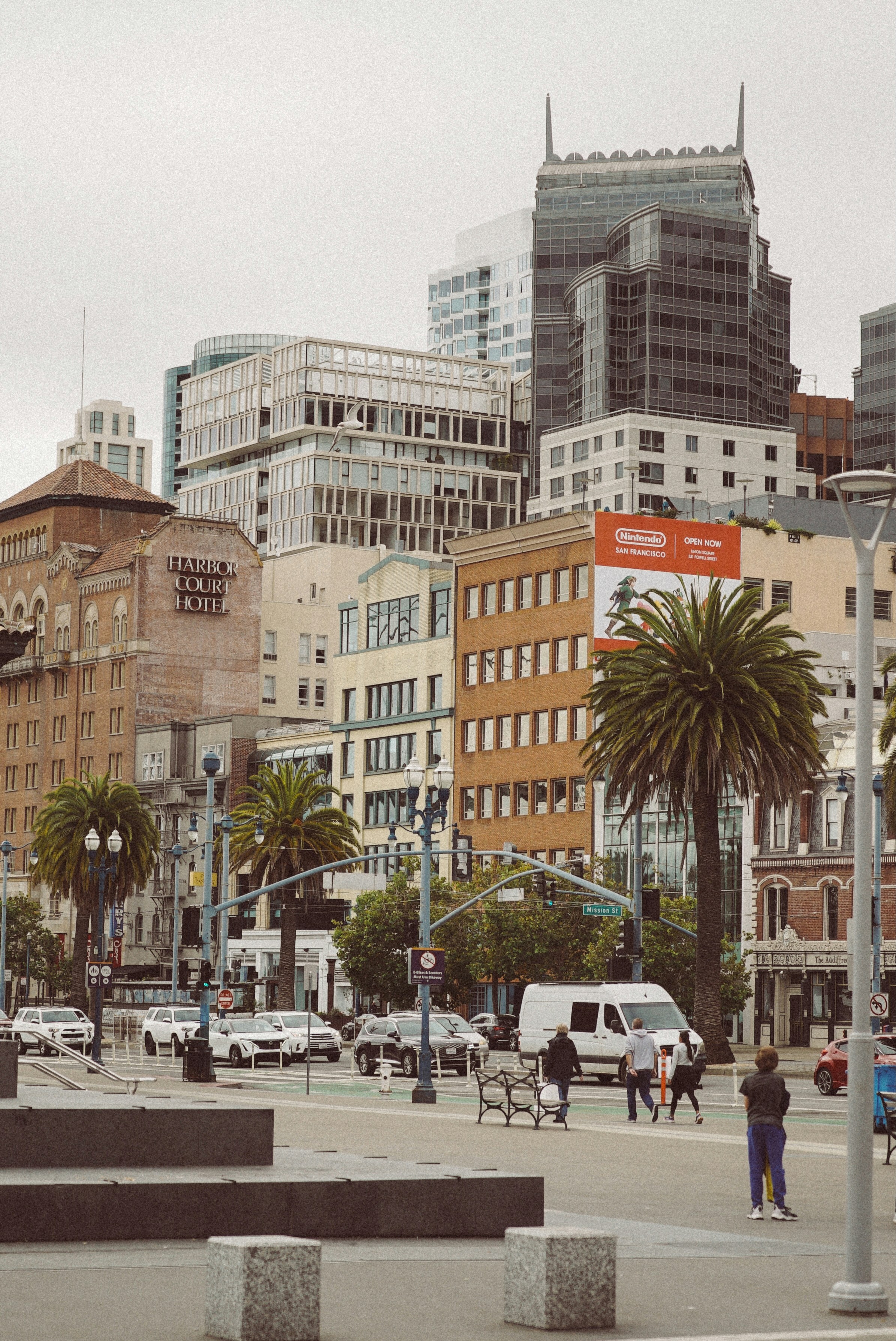 Modern buildings and palm trees on a city street.