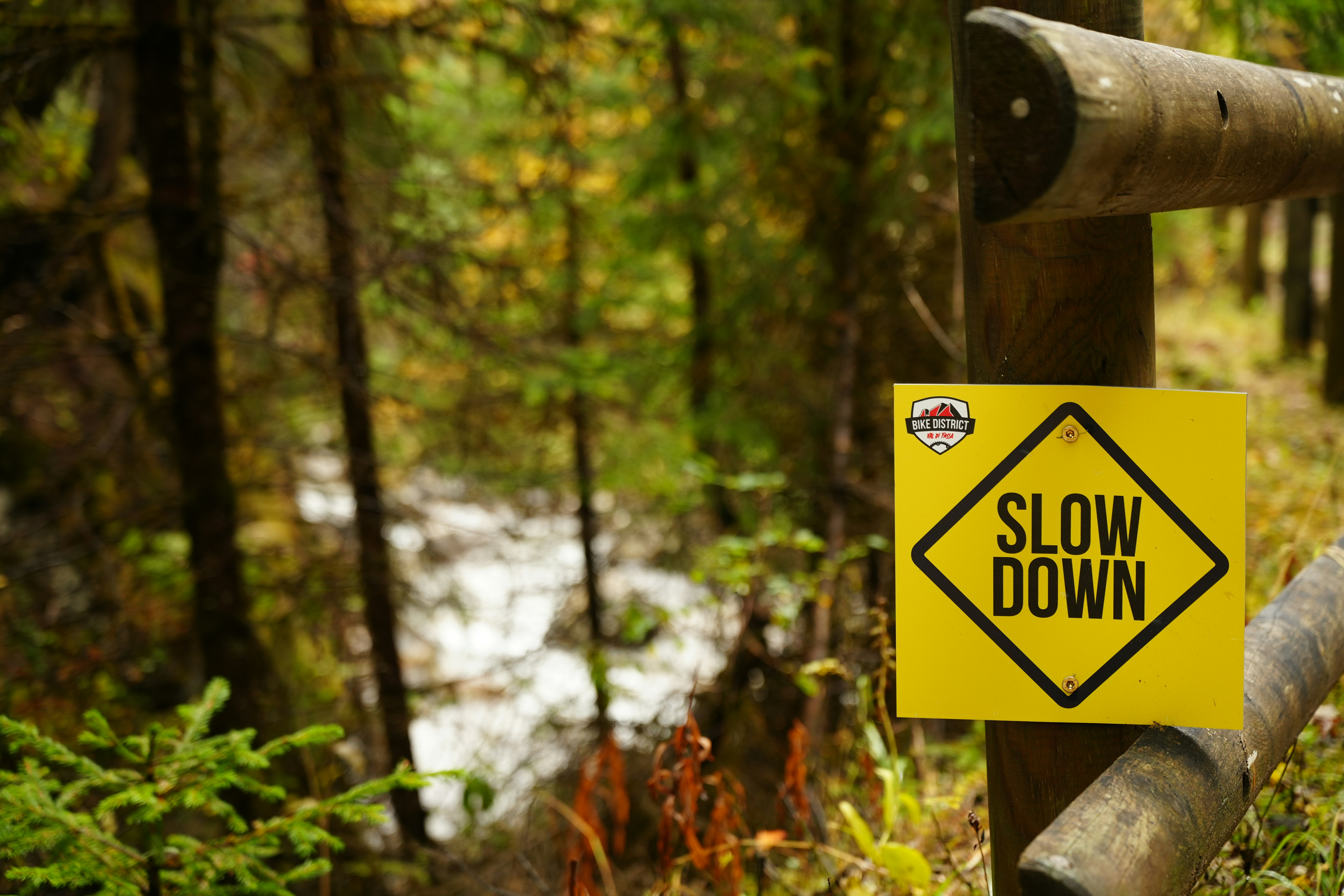 Bright yellow warning sign reading 'SLOW DOWN' affixed to a wooden post near a serene stream surrounded by lush greenery.