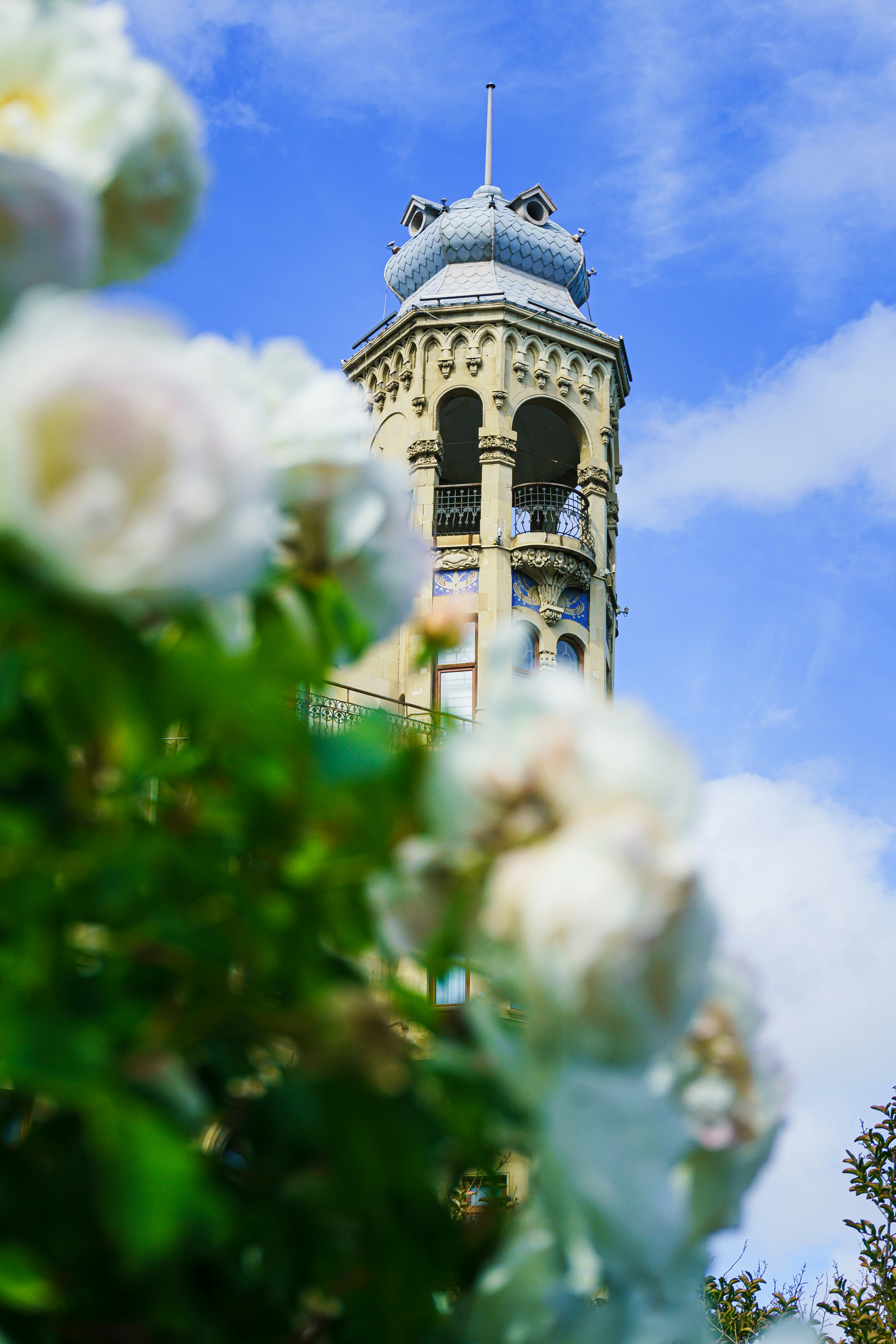 Architectural building behind the white roses | Historic tower with white roses in foreground
