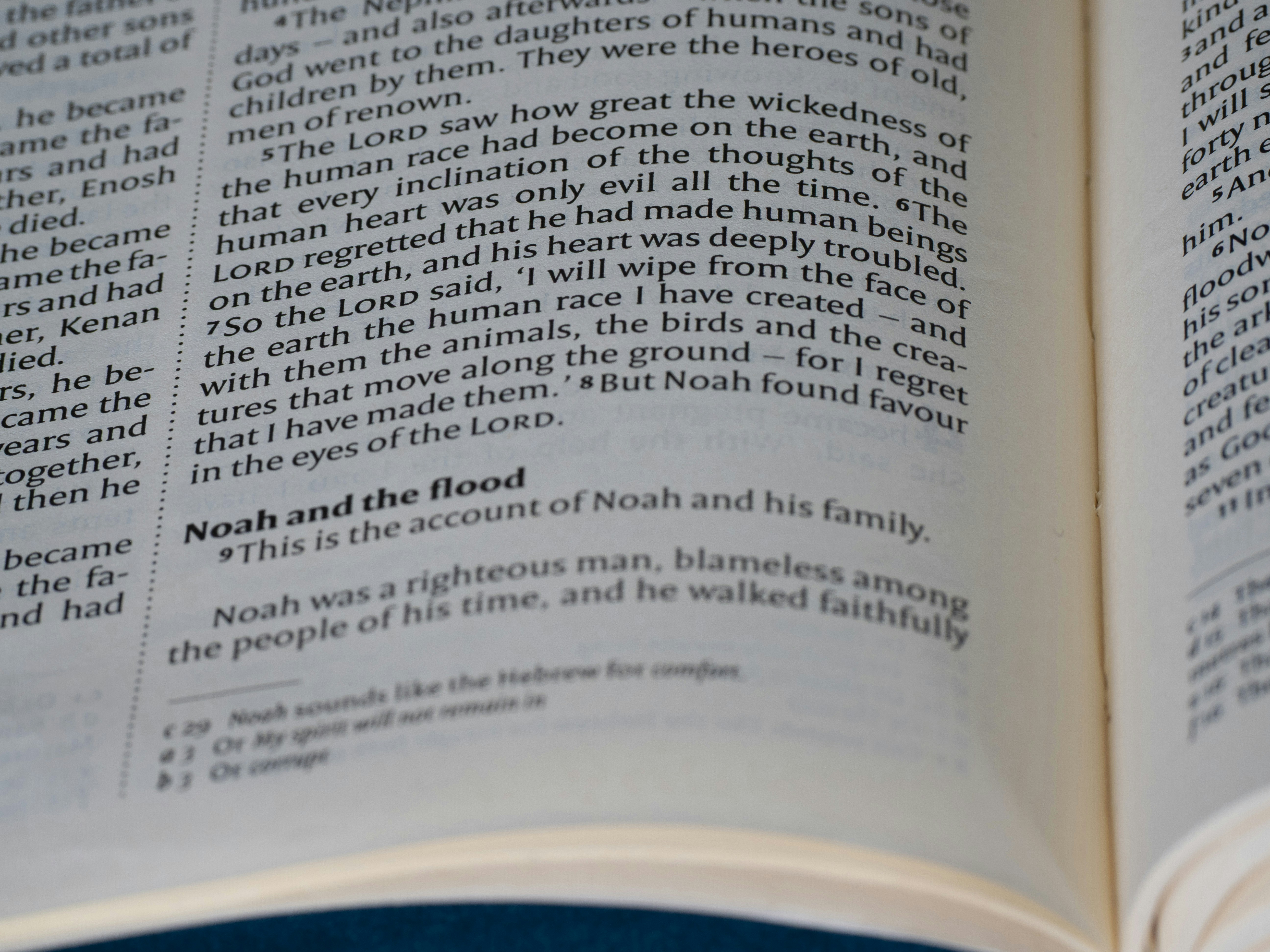 Text from a Bible open to the account of Noah and his family, highlighting themes of righteousness and divine judgment.