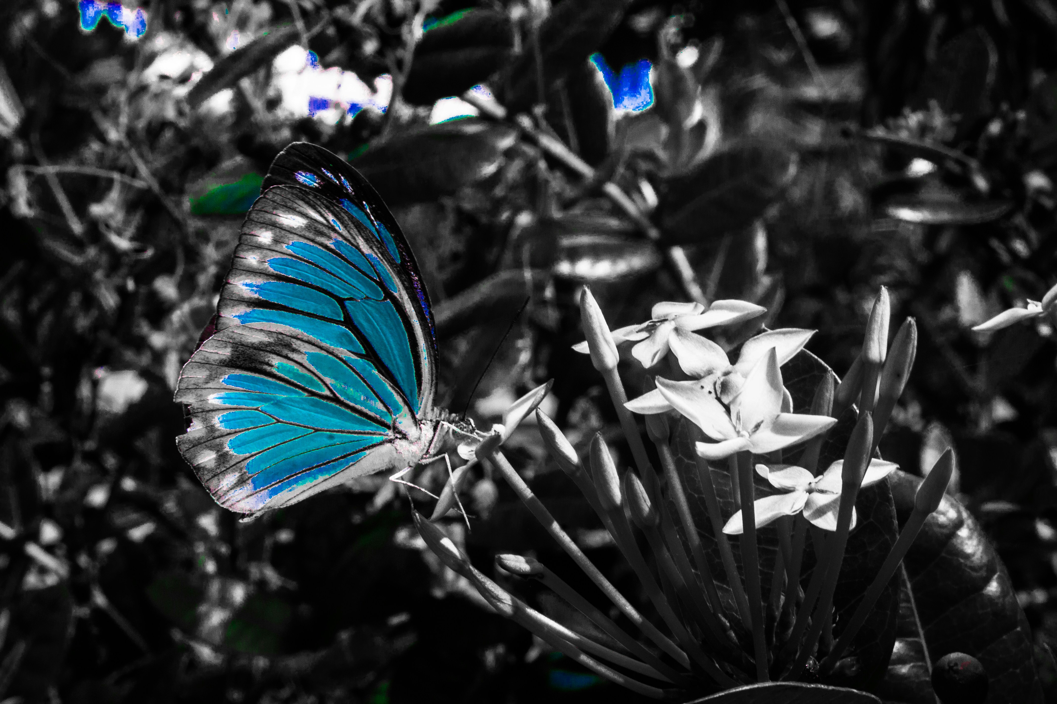 A Splash of Color Amidst Nature's Palette