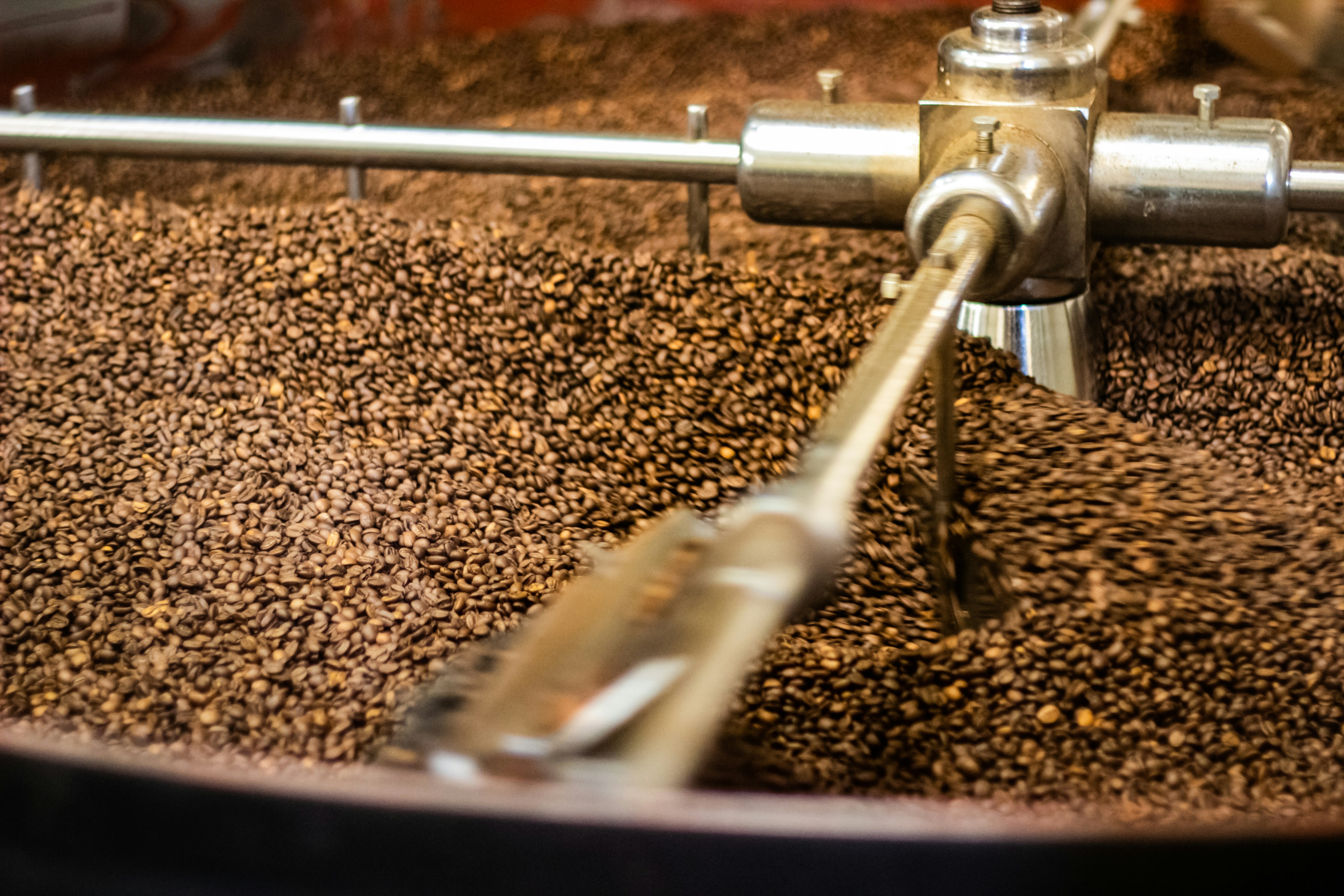 Coffee beans being roasted in a large machine.