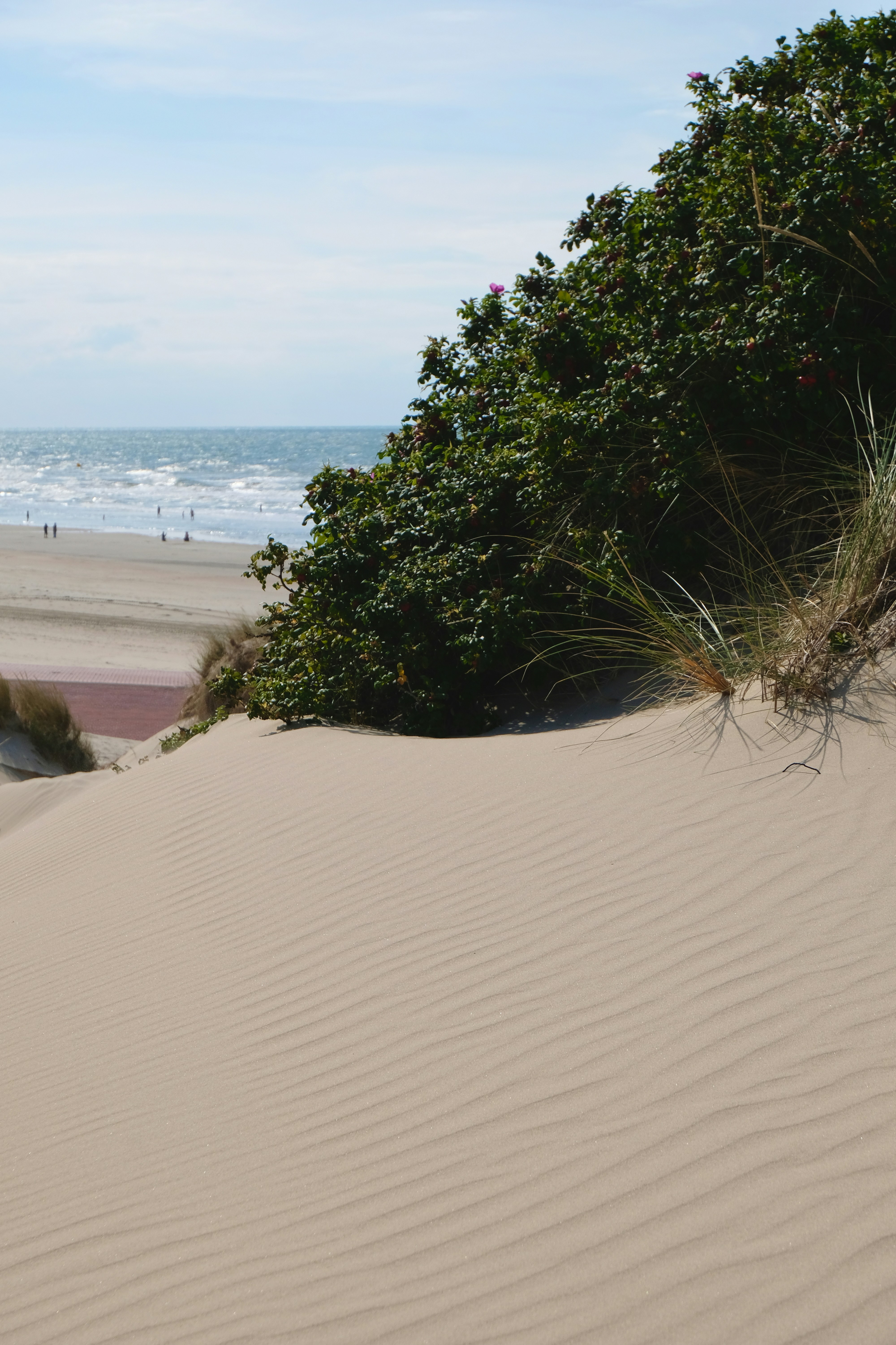 Blick aufs Meer von der Düne