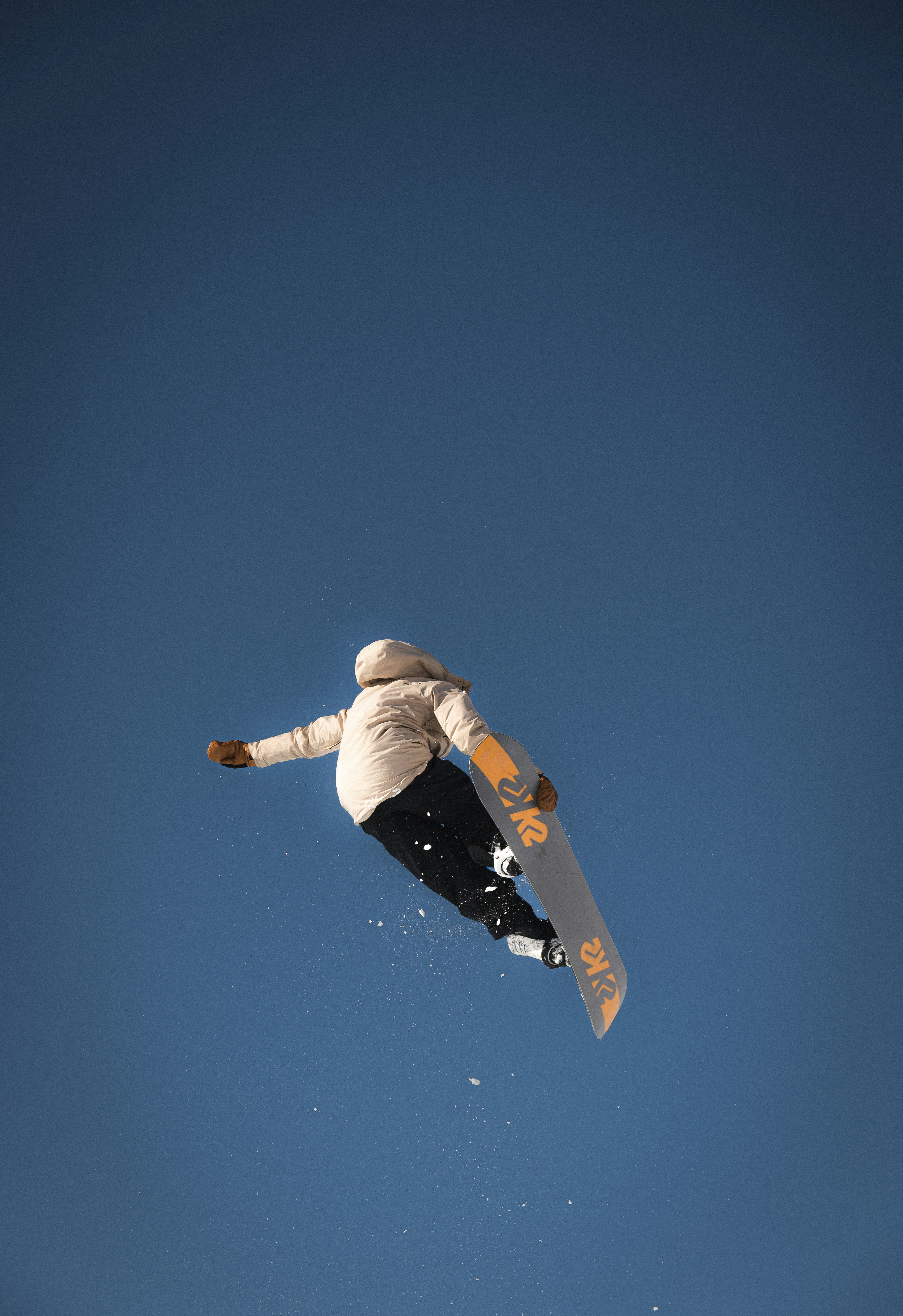 Soaring Through the Blue