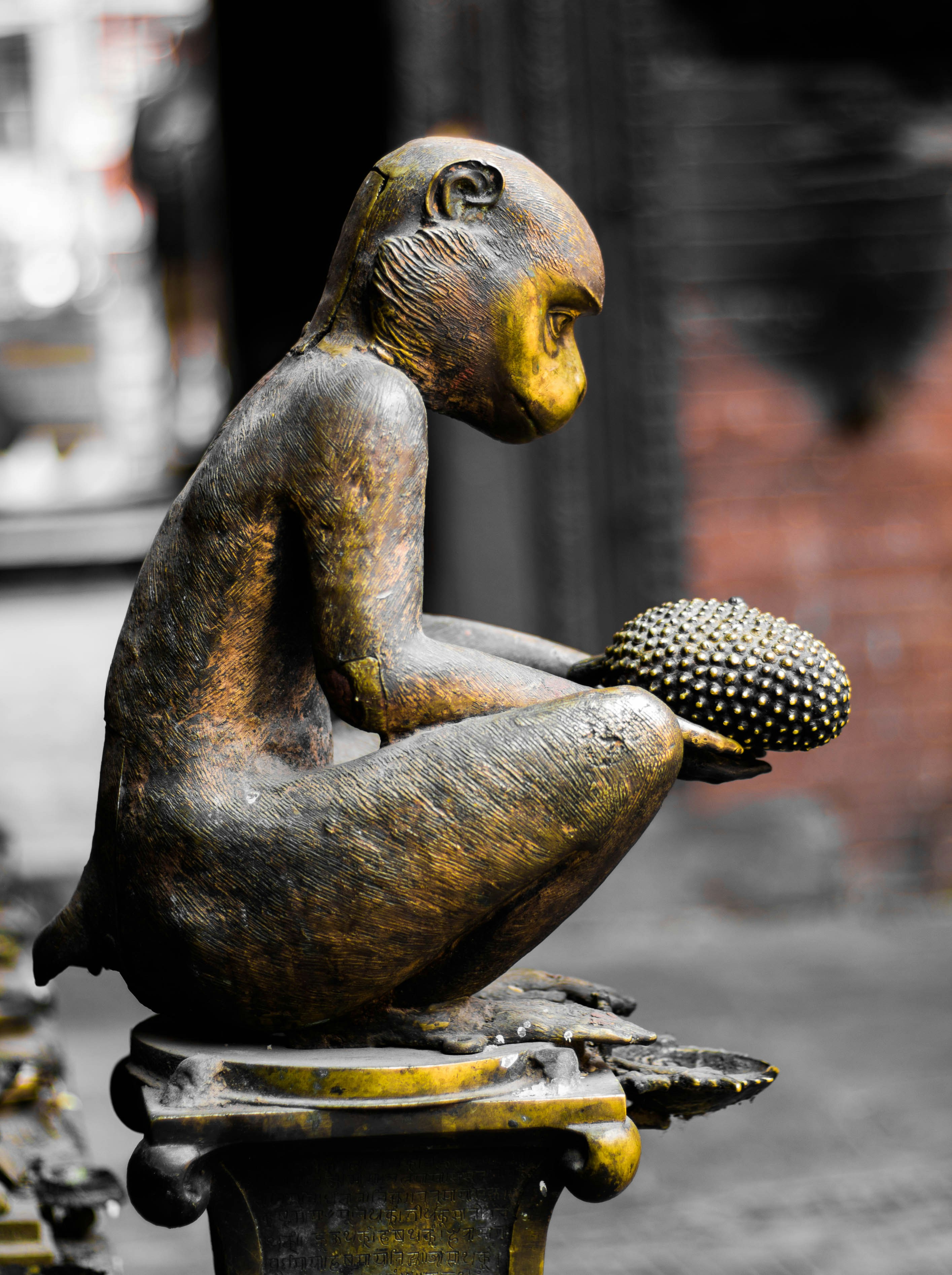 The Contemplative Guardian of the Durian