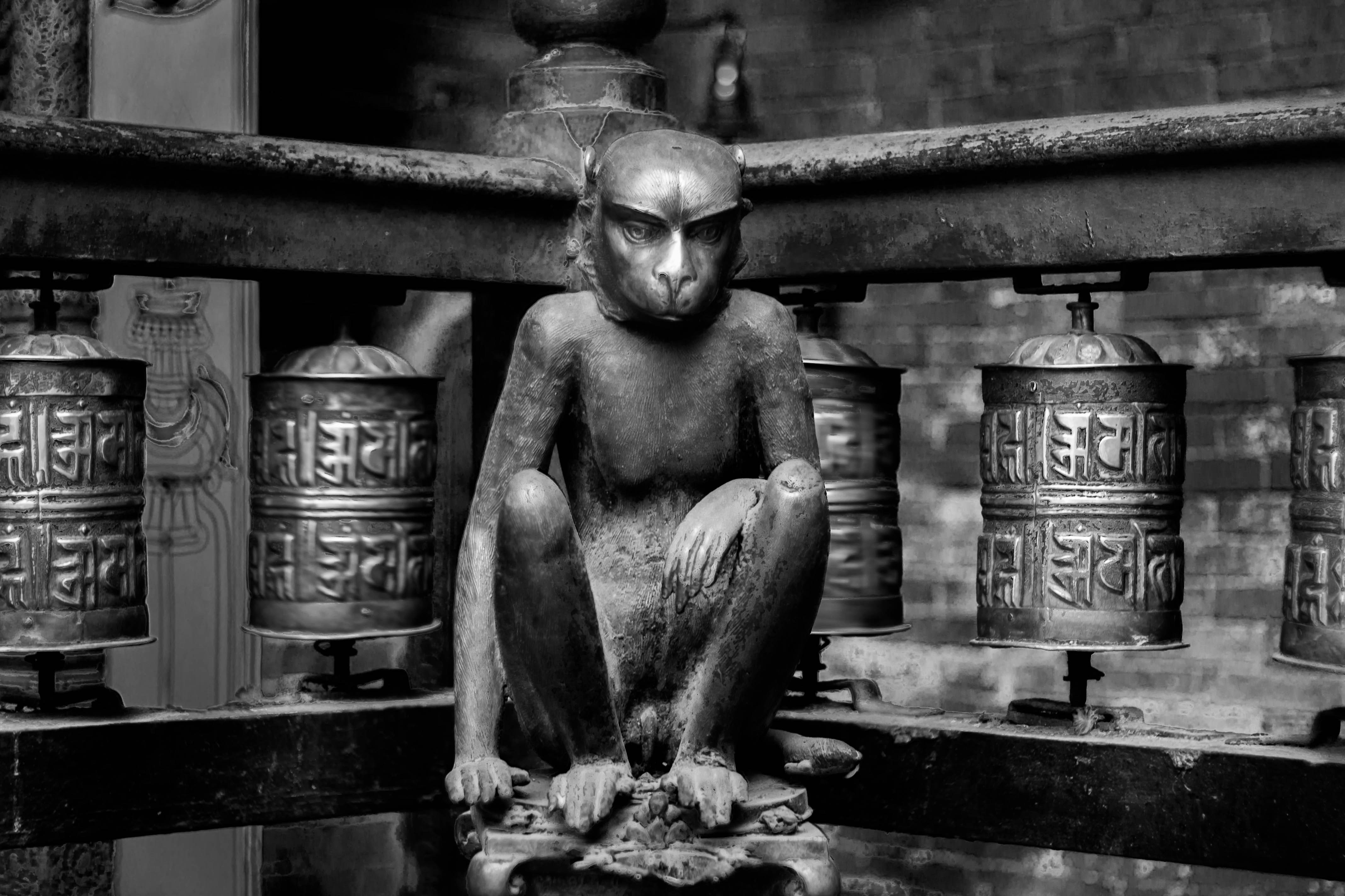 The Guardian of Serenity