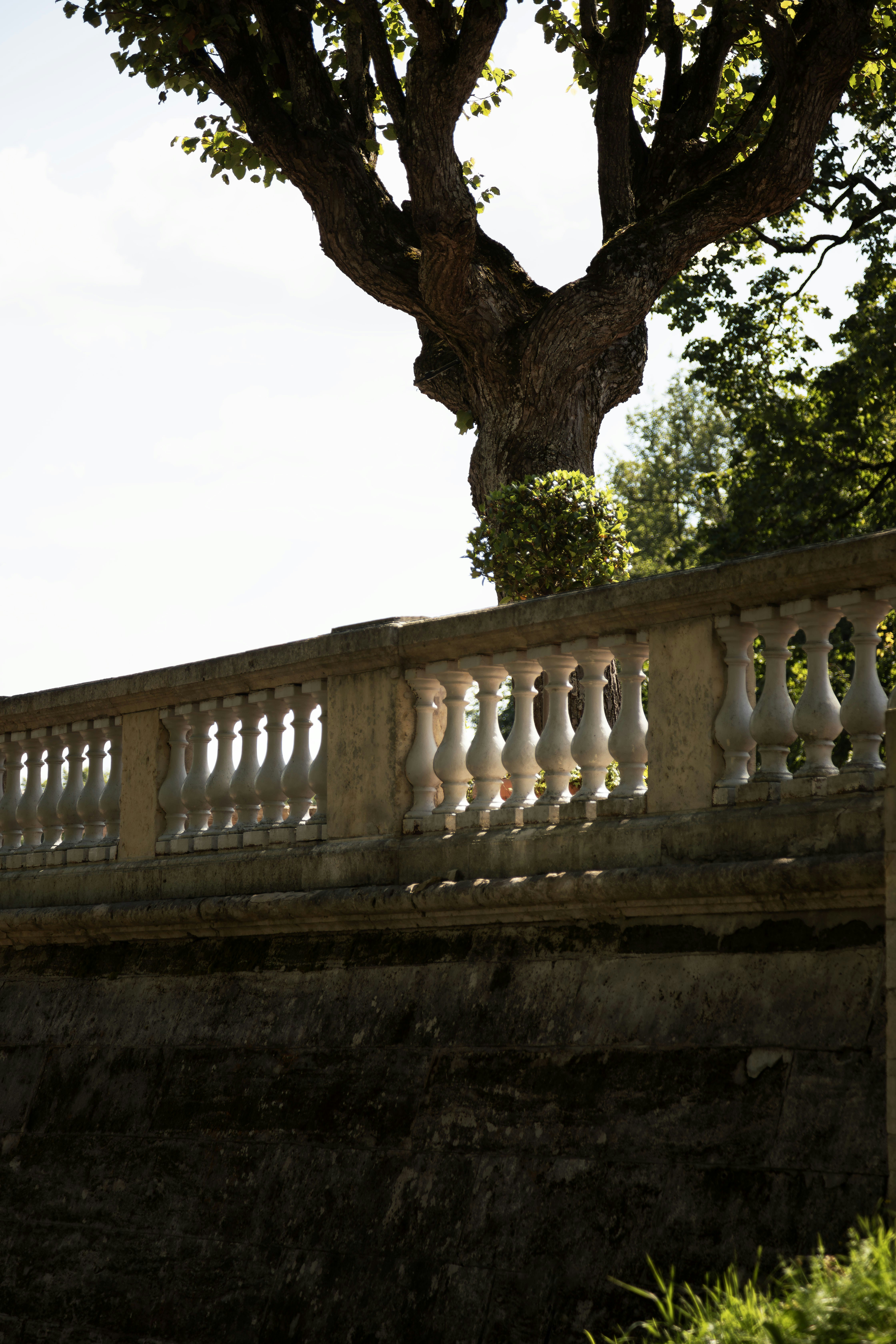 Gatchina, Russia | Stone balustrade with tree branches overhead