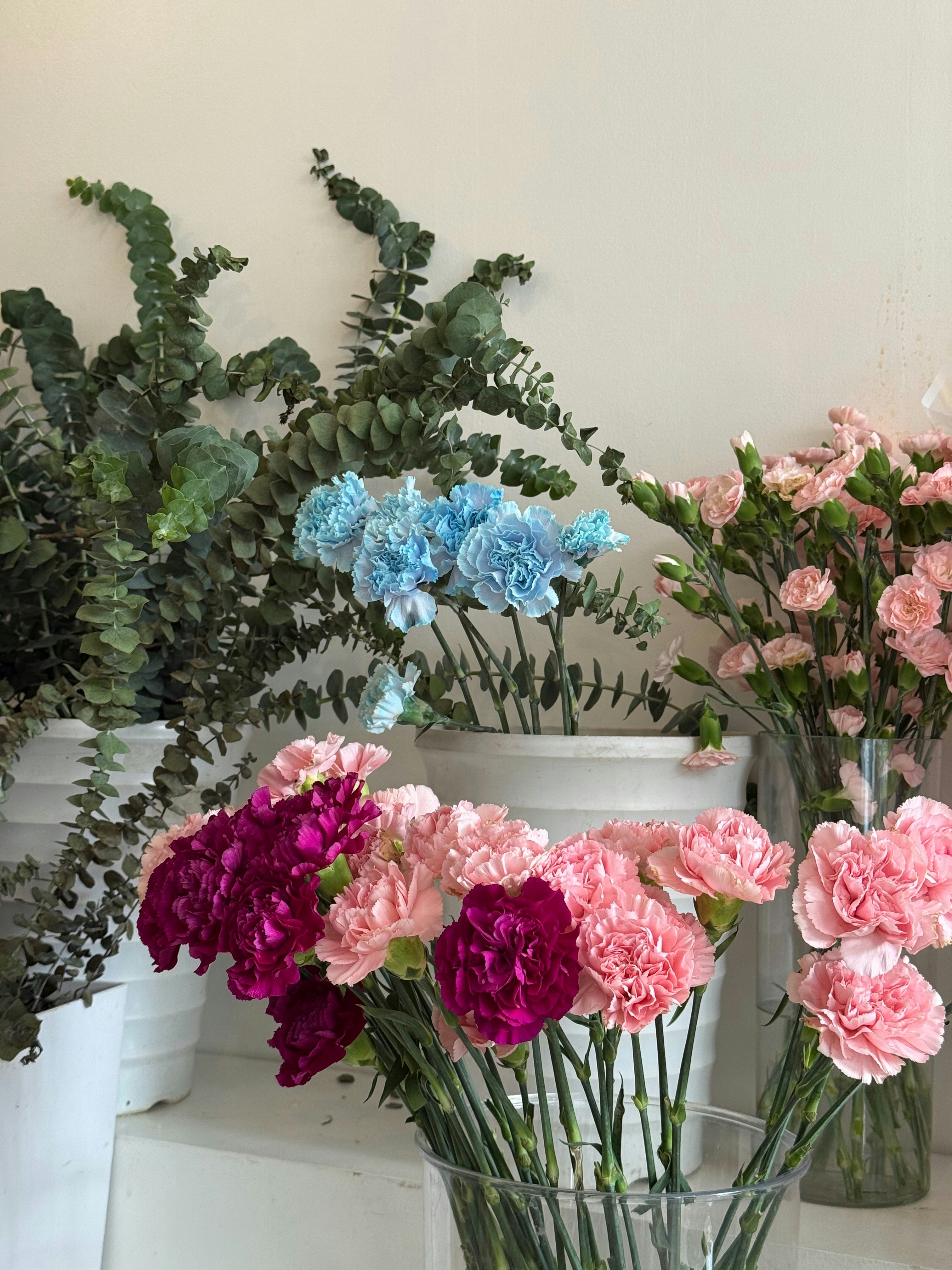 Colorful carnations in vases against a white wall