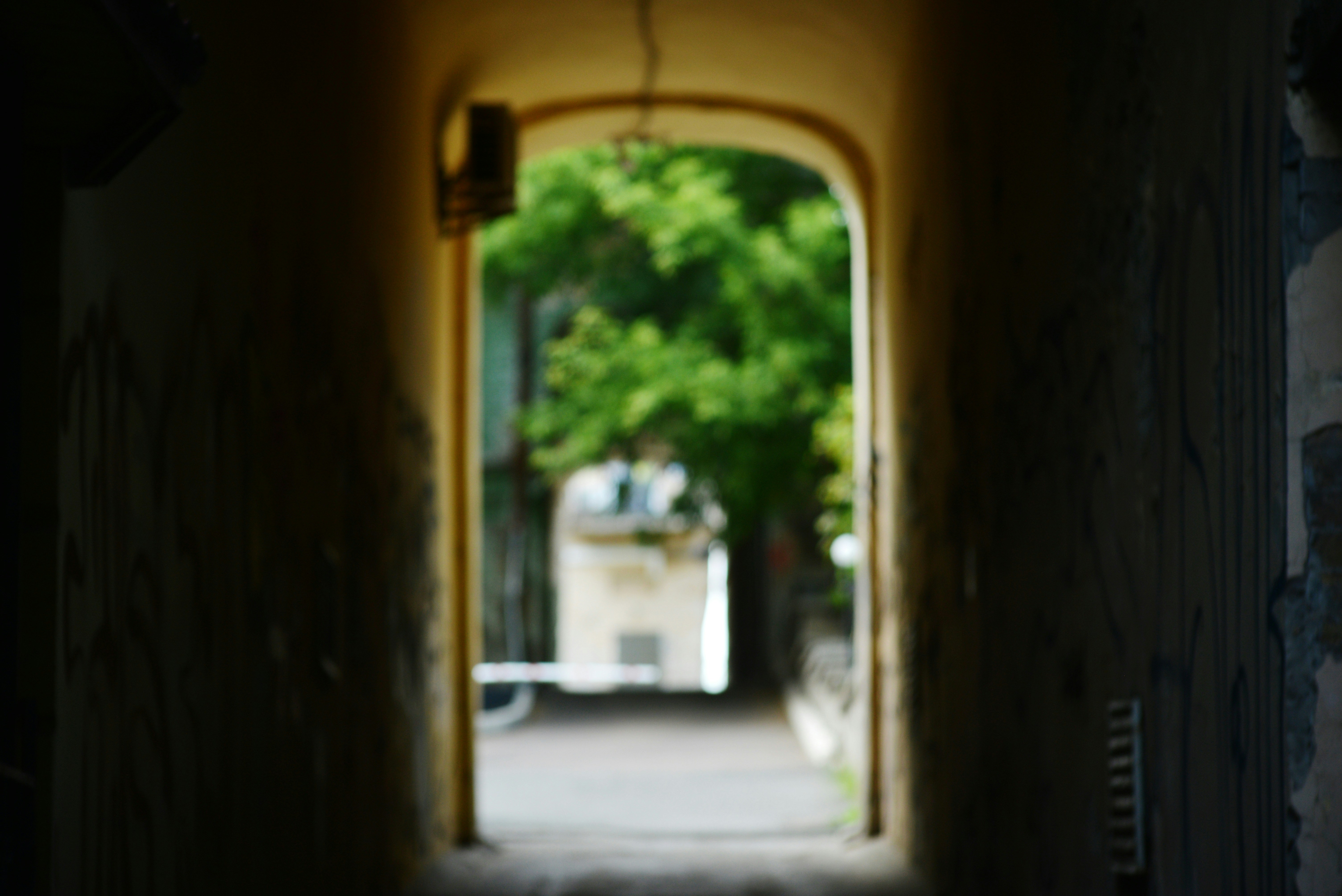 Whispers of a Hidden Passage