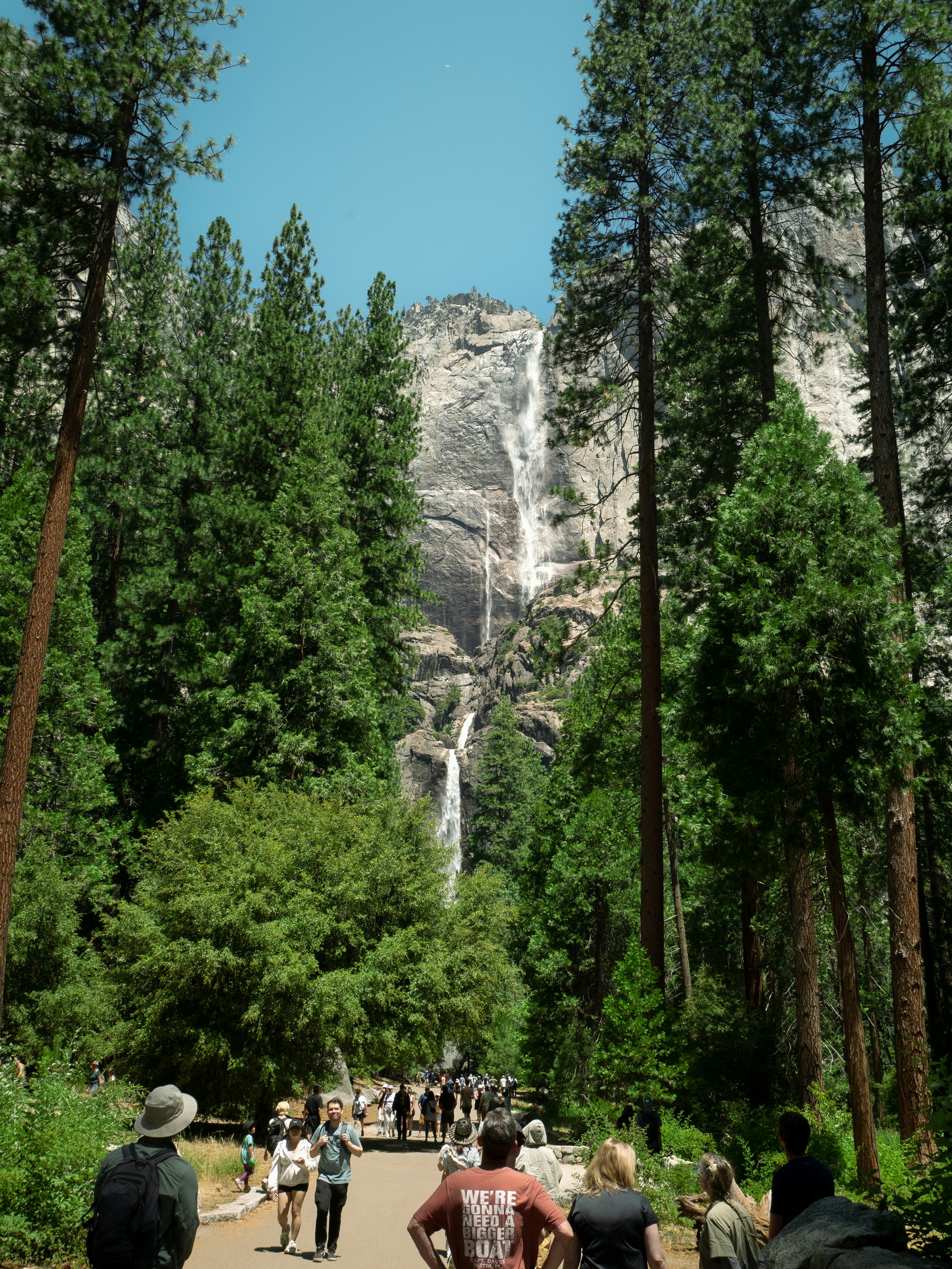 Yosemite Falls Through a Pine Cathedral on a Busy Trail